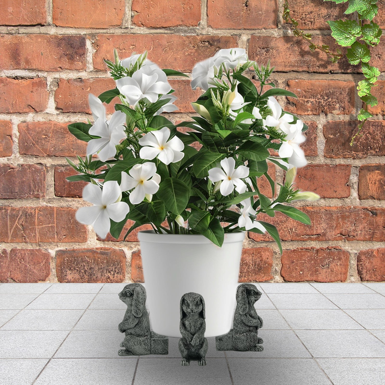 GZJCKJY Plant Pots Flower Pot Feet Animal Figures Plant Pot Feet for ...