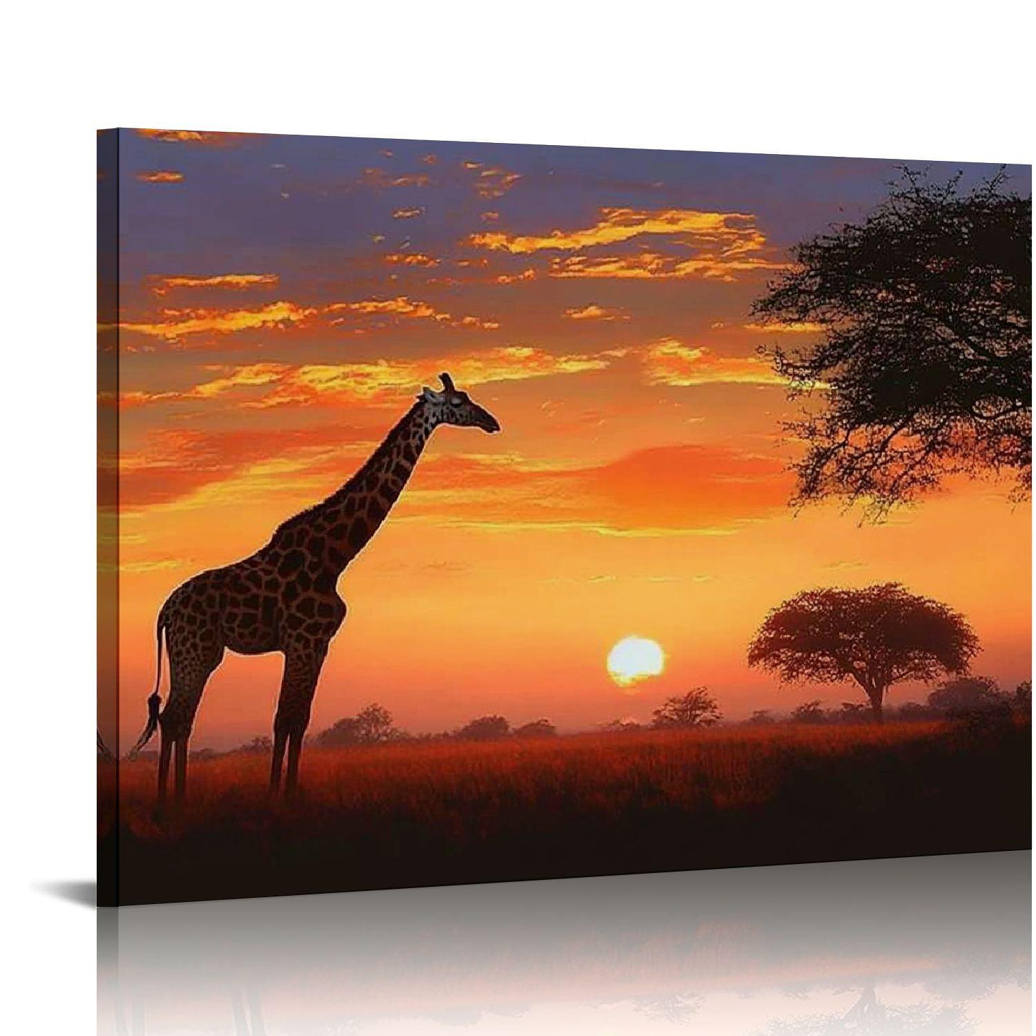 GZYLONG African Giraffe at Sunset Serengeti National Park Tanzania ...