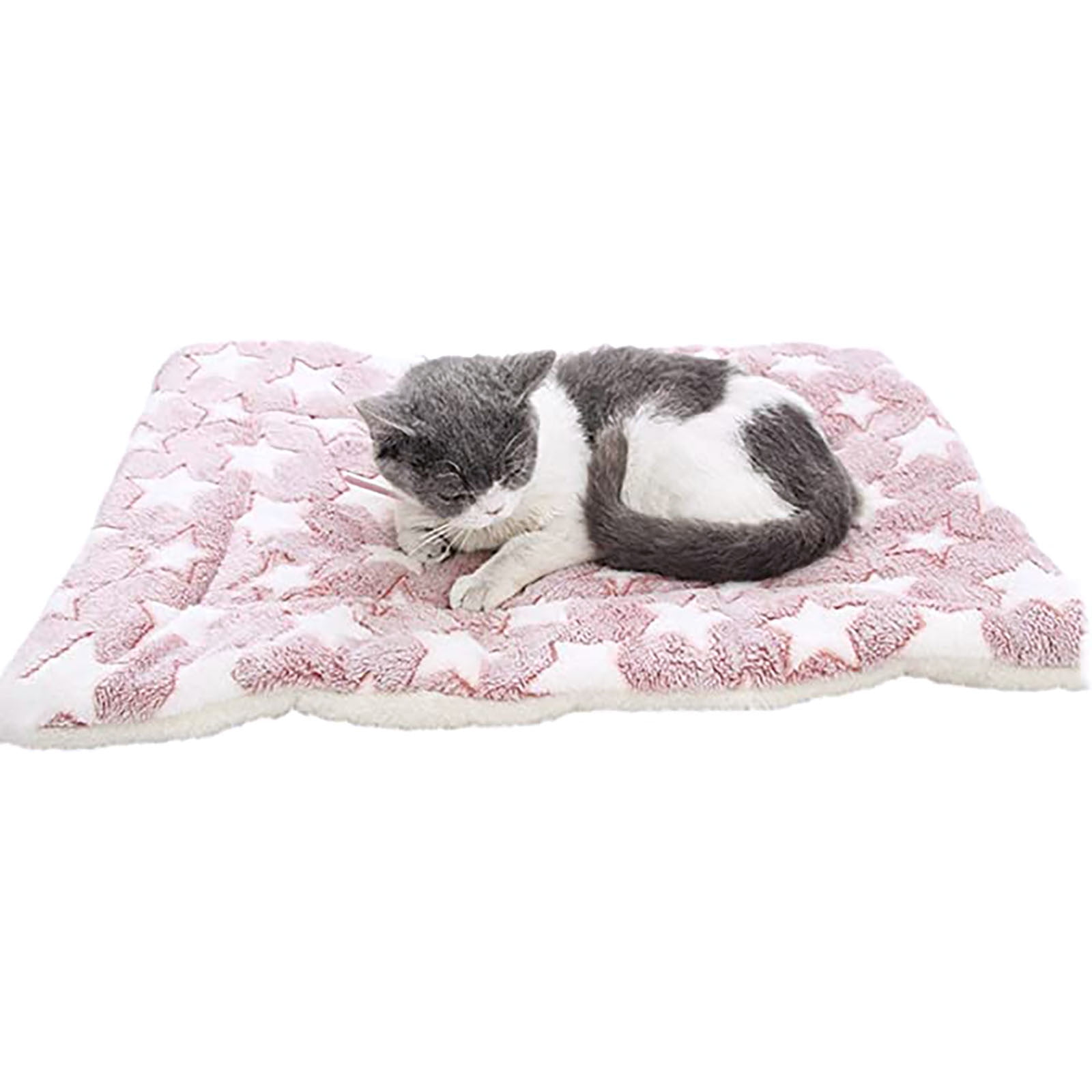 GZYS Charming Patterned Indoor Cat & Small Dog Beds - Rectangular ...