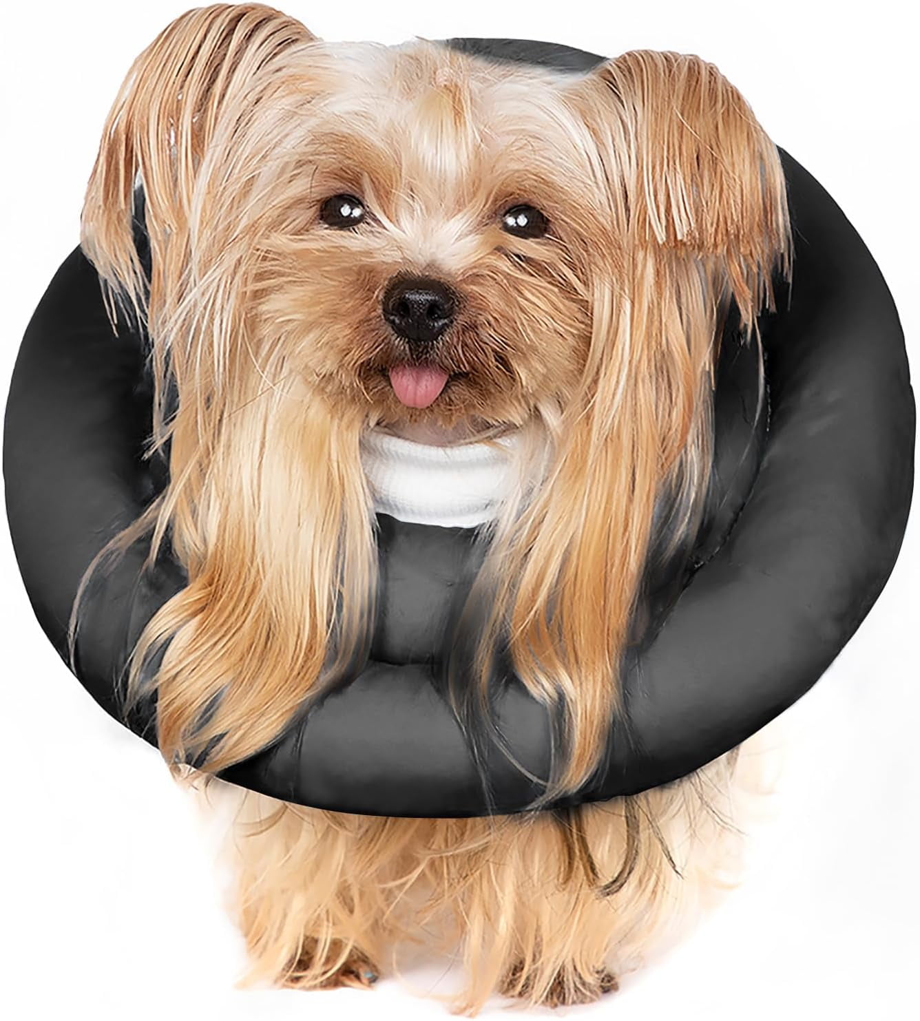 GZYS Dog Cones for Small Dogs,Comfortable Adjustable Soft Dog Cone ...