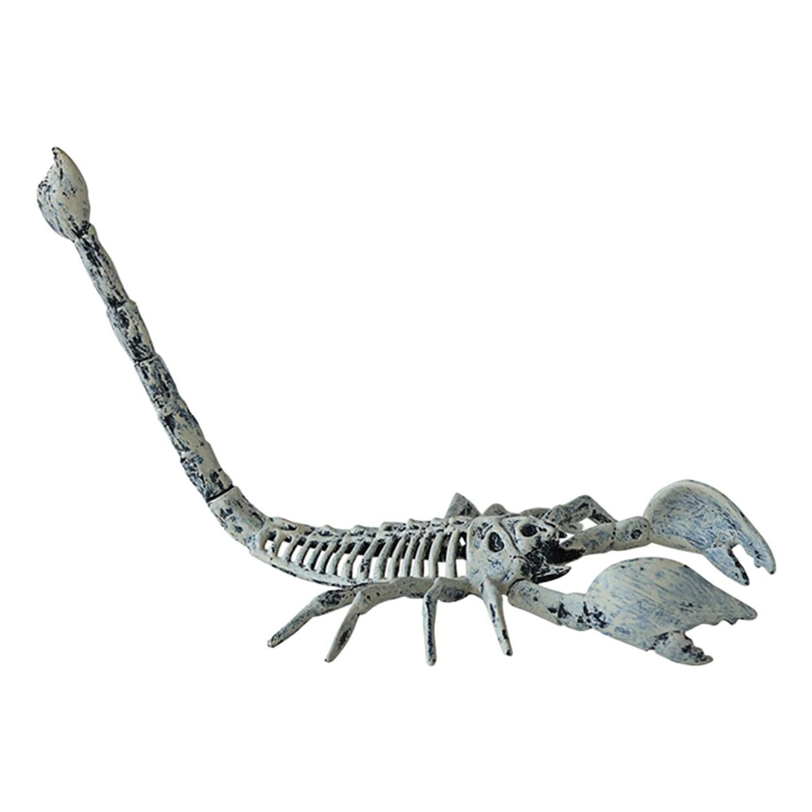 GZZQY Halloween Animal Skeleton Plastic Bone Model Realistic Skeleton ...