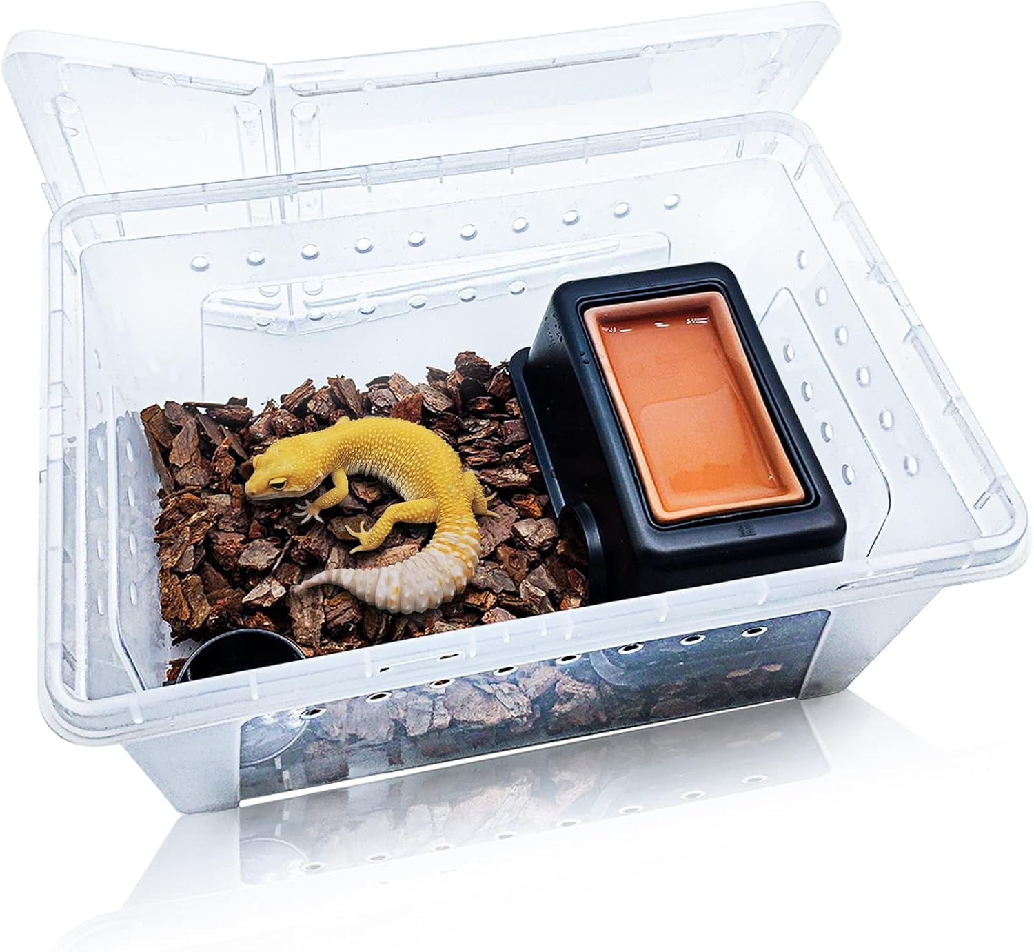 GZhLonKiMa 2PCS Reptile Feeding Box Snake Breeding Box Transparent ...