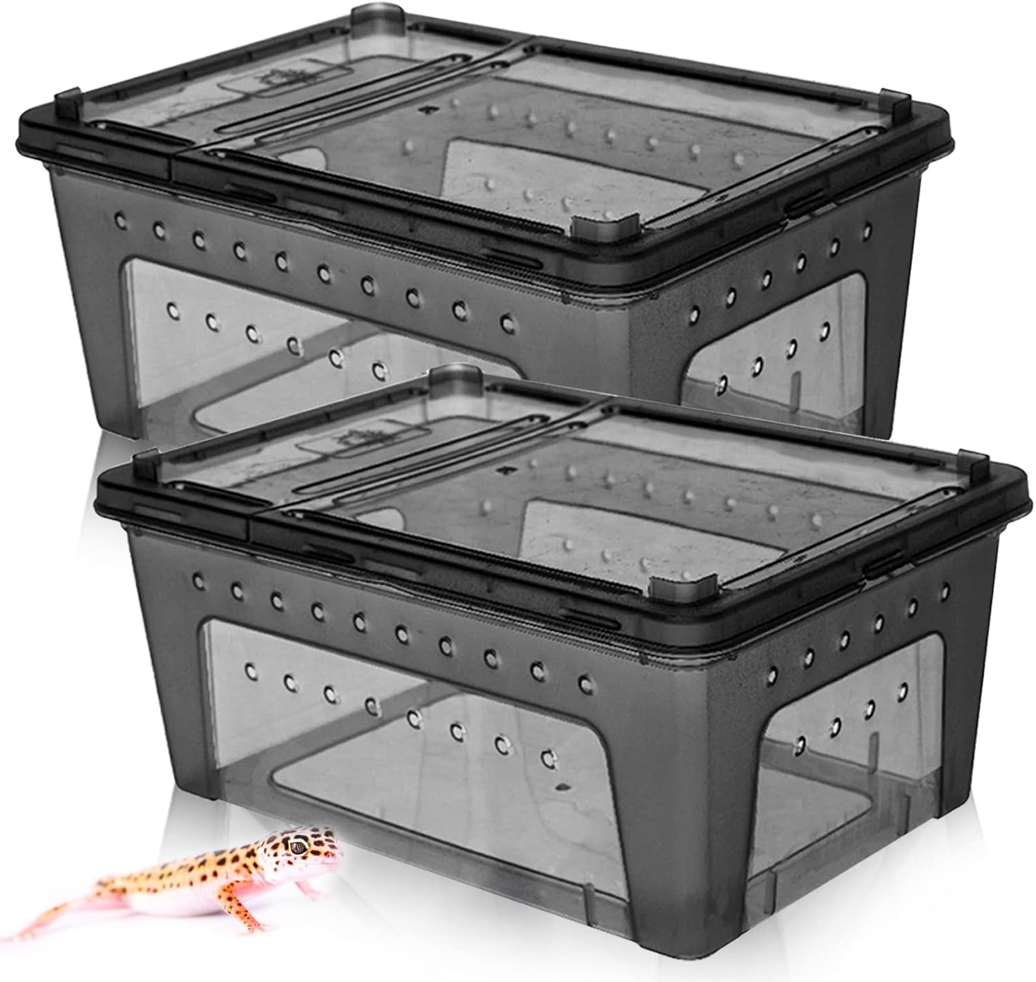 GZhLonKiMa 2PCS Reptile Feeding Box Snake Breeding Box Transparent ...