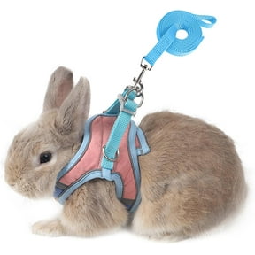 Bunny Rabbit Harness with Leash Cute Adjustable Buckle Breathable Mesh ...