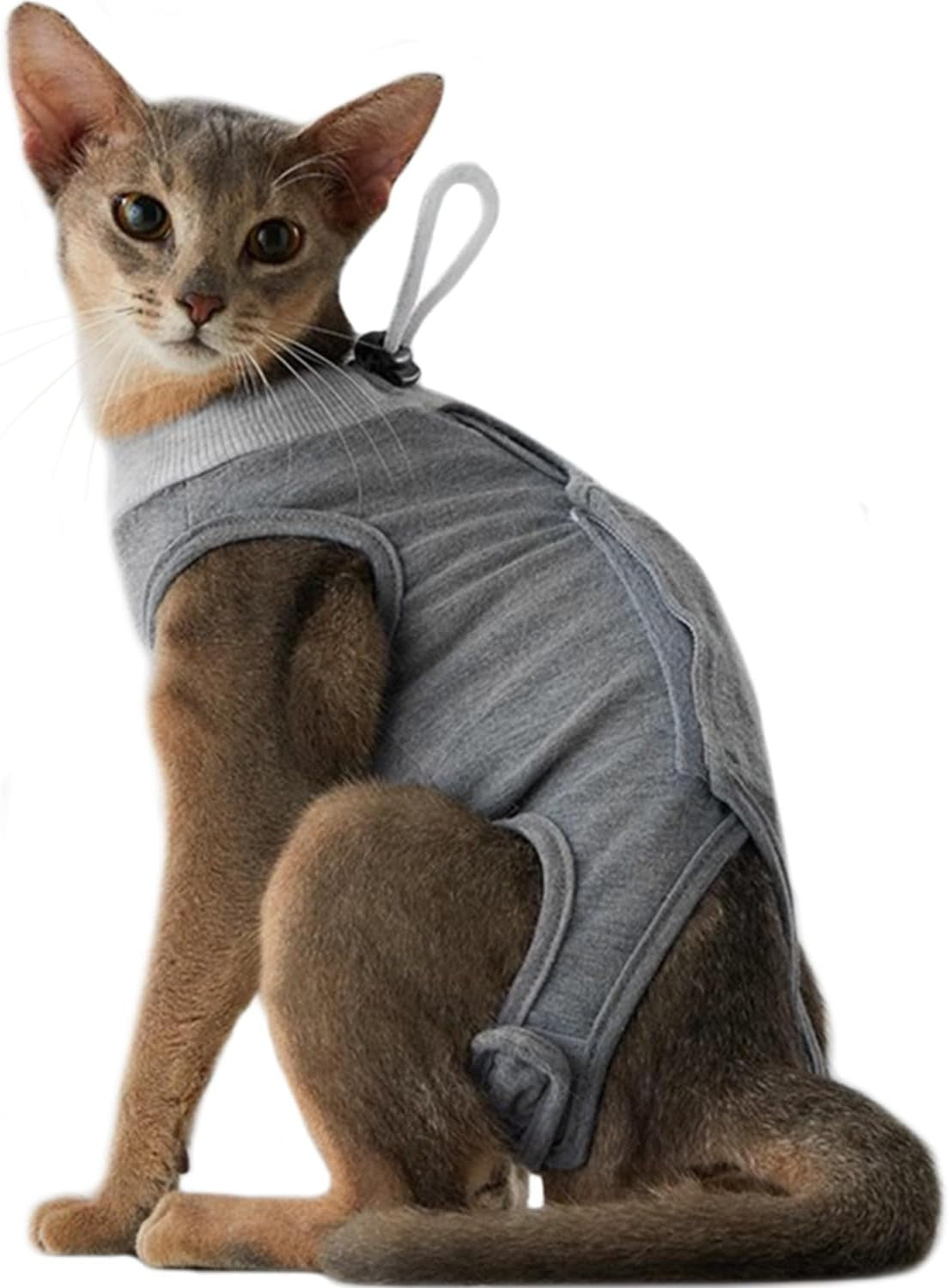GZhLonKiMa Adjustable Cat Surgery Recovery Suit Female Protective ...