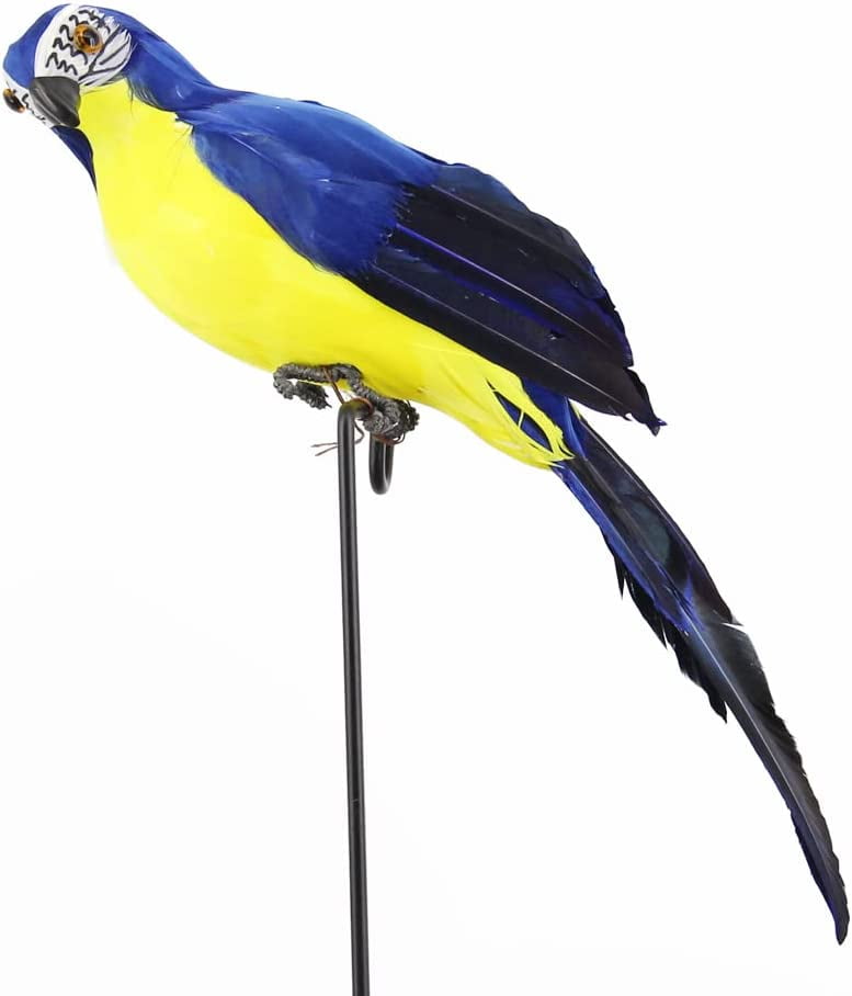 GZhLonKiMa Artificial Parrot Life Size Artificial Simulation Foam ...