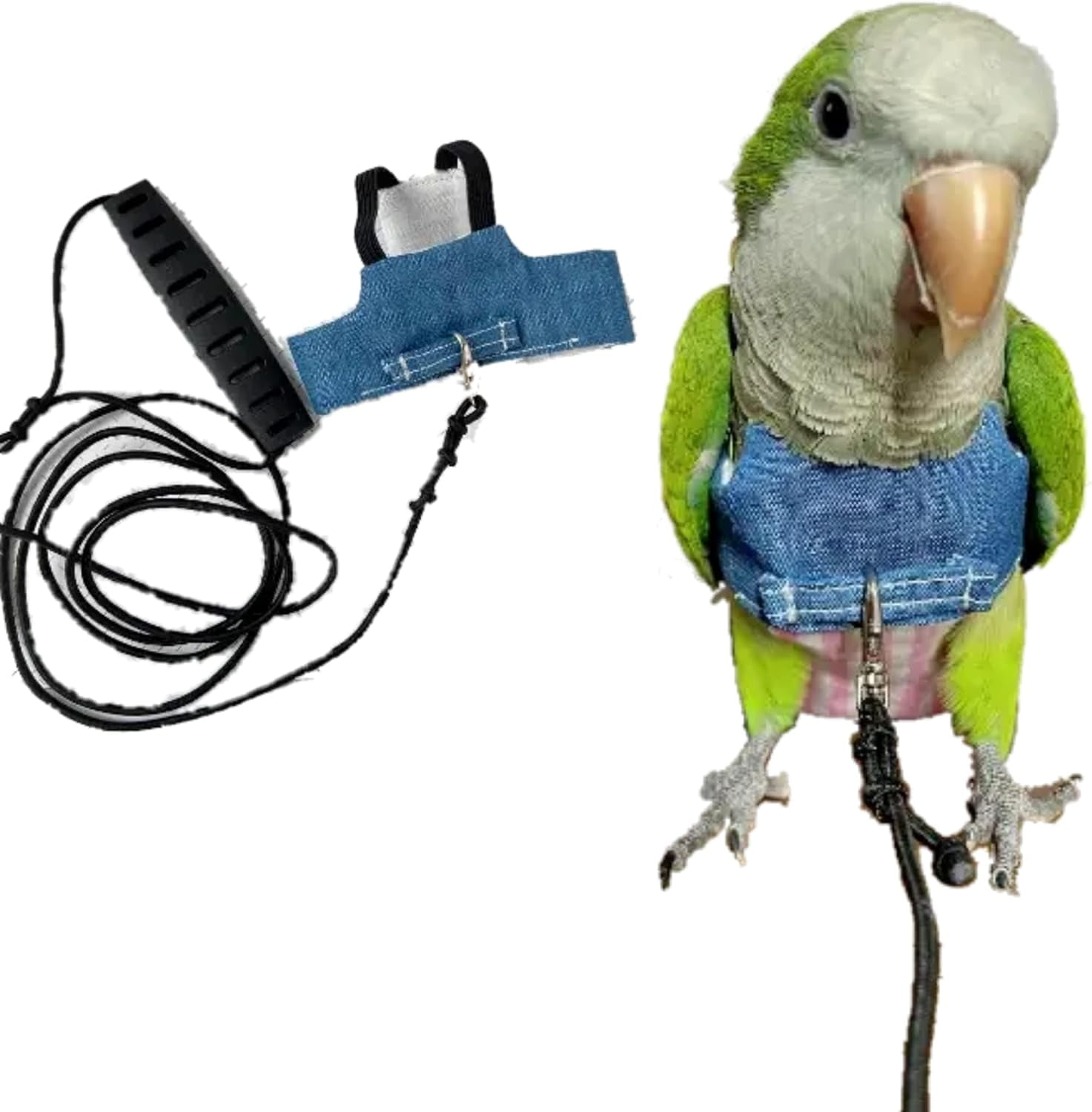 GZhLonKiMa Bird Flight Harness Vest, Parrot Suit with Leash for ...