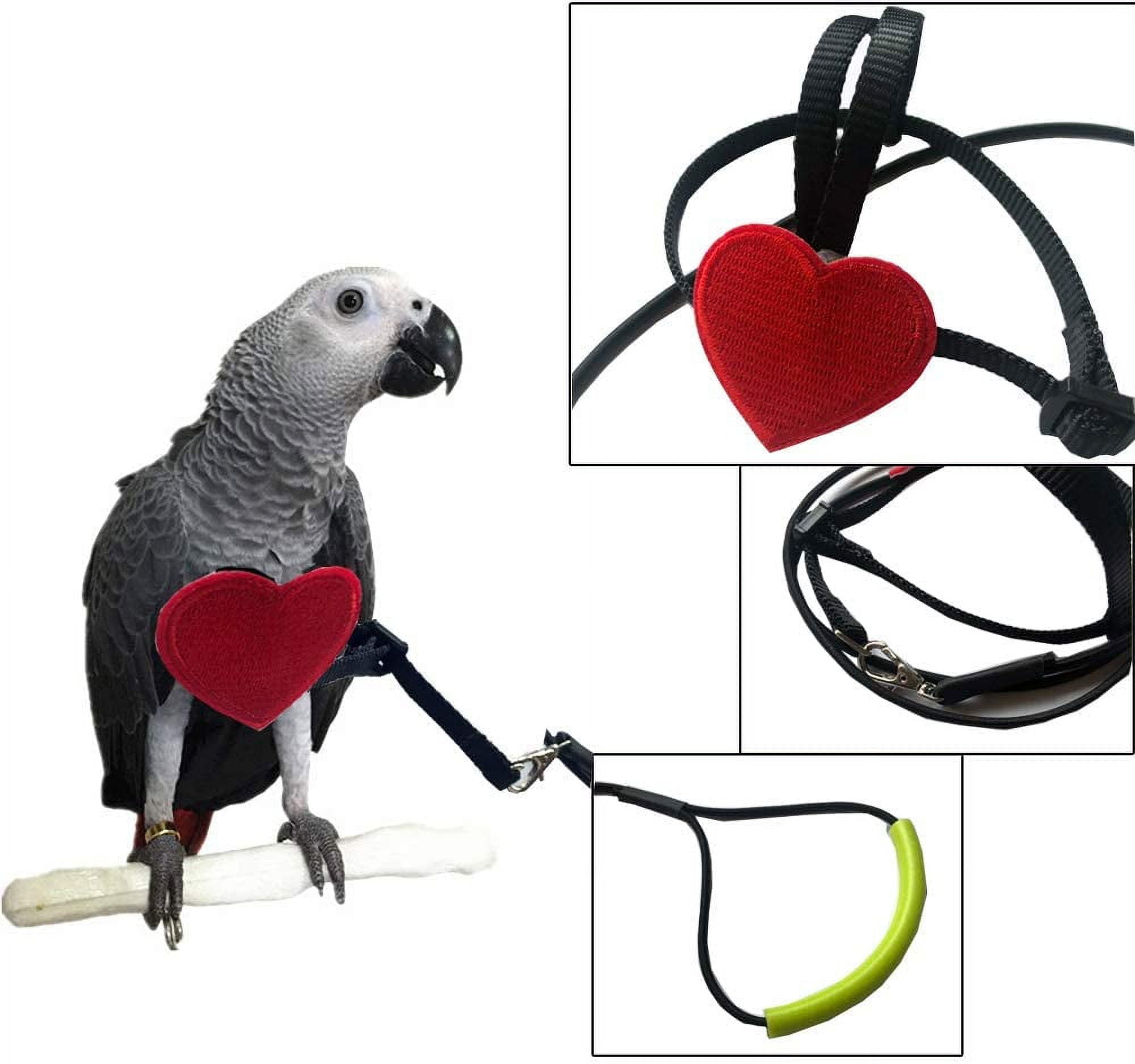 GZhLonKiMa Bird Harness Leash Parrot Flying Leash Straps Wings Traction ...