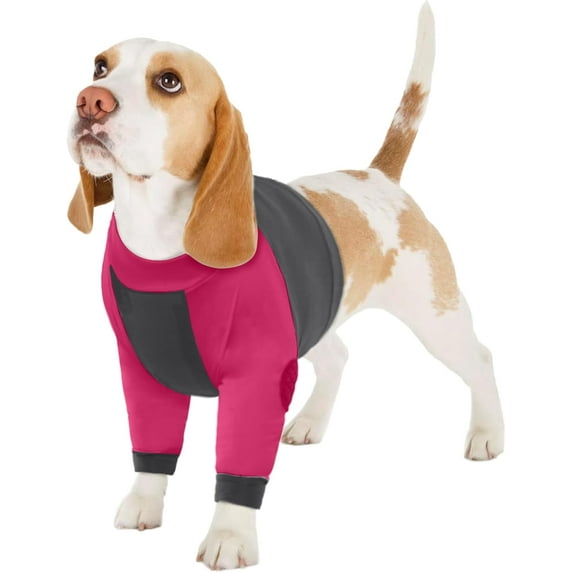 GZhLonKiMa Dog Recovery Suit for Front Legs, Dog Sleeve to Stop Licking ...
