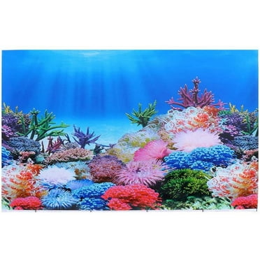 Aquarium Background Poster Fish Tank Decoration Landscape - Multicolor ...