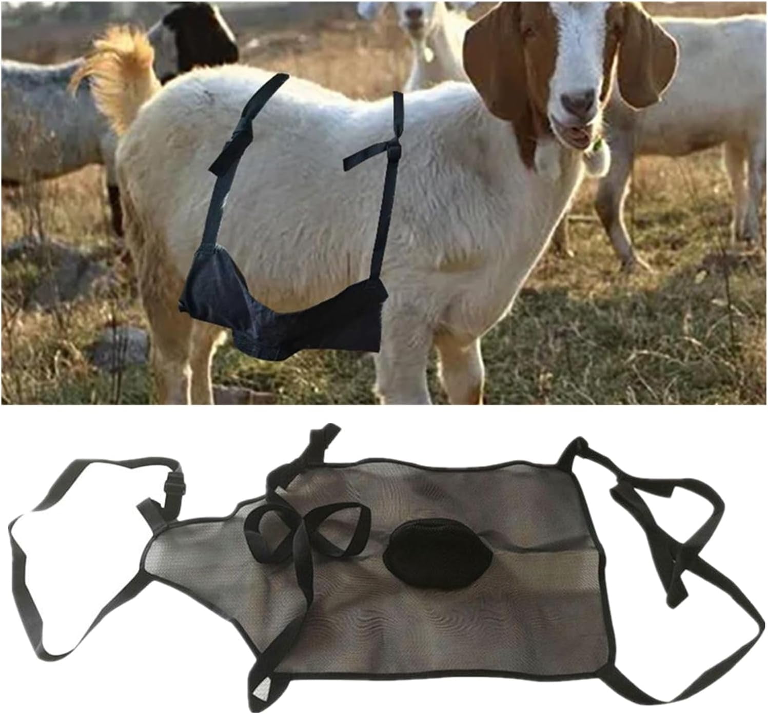 GZhLonKiMa Goat Anti Breeding Apron, Anti Mating Skirt for Sheep ...