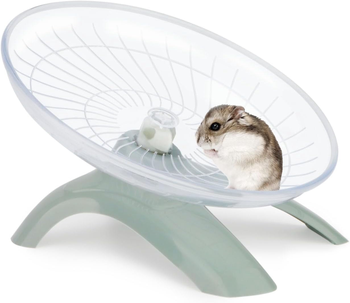 GZhLonKiMa Hamster Wheel Silent Hamster Exercise Wheel Running Spinner ...