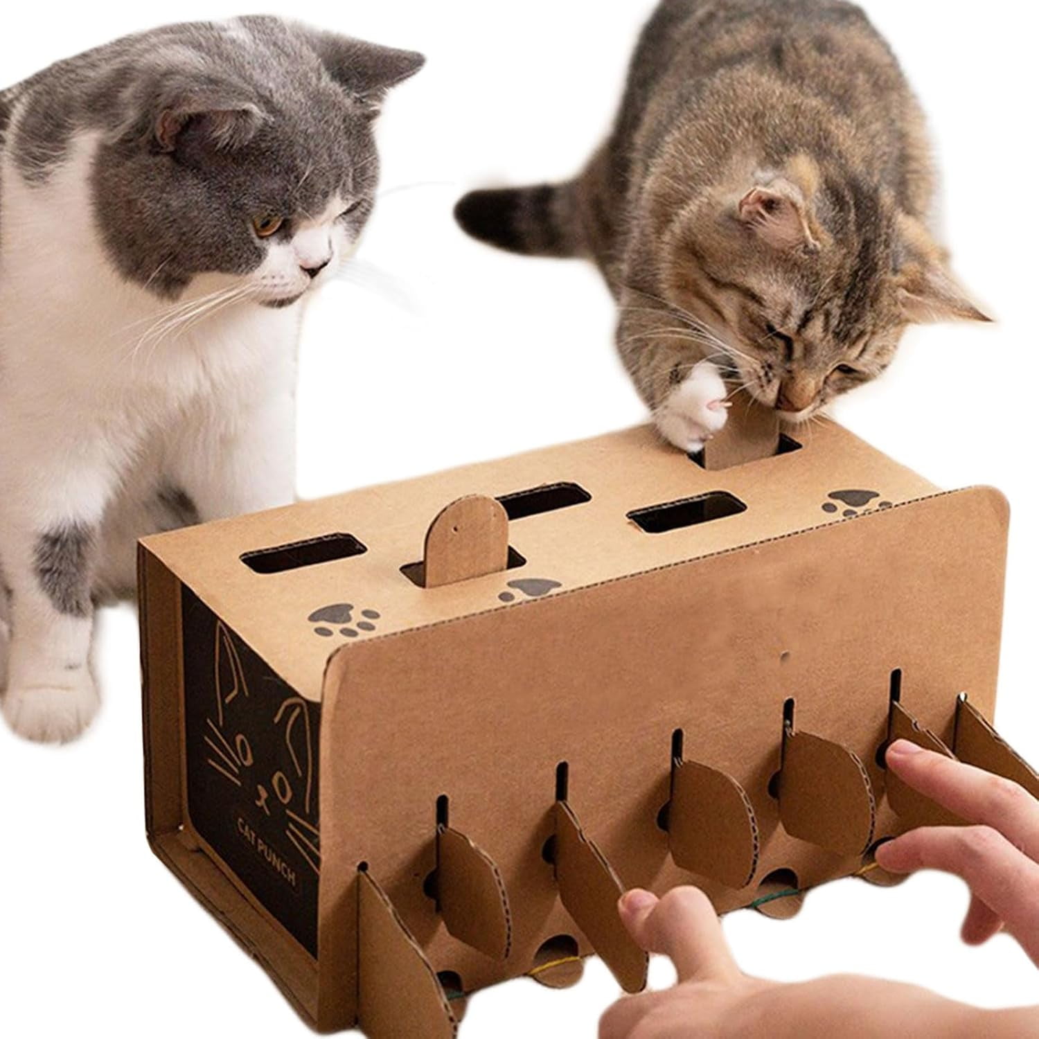 GZhLonKiMa Hunting Game Pet Cat Teaser Toy, Interactive Cat Maze Toy ...