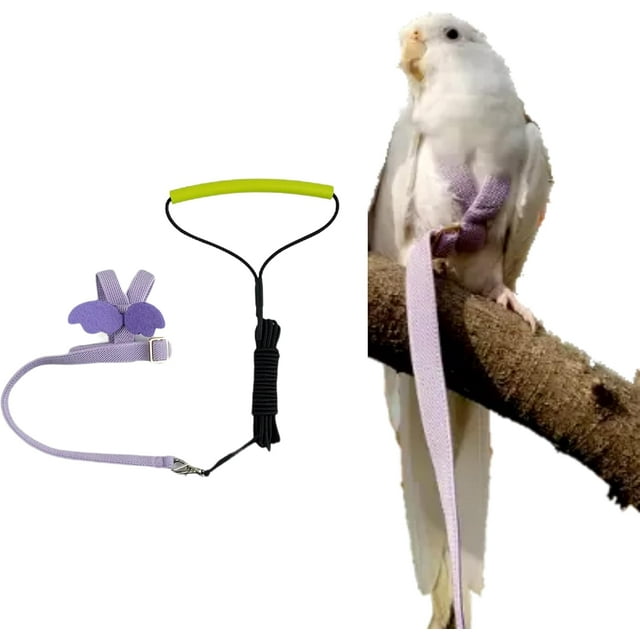 GZhLonKiMa Pet Parrot Bird Harness Leash Adjustable Bird Flying Harness ...
