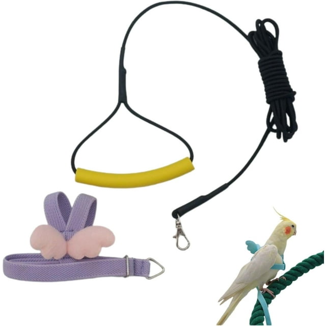GZhLonKiMa Pet Parrot Bird Harness and Leash, Adjustable Training ...