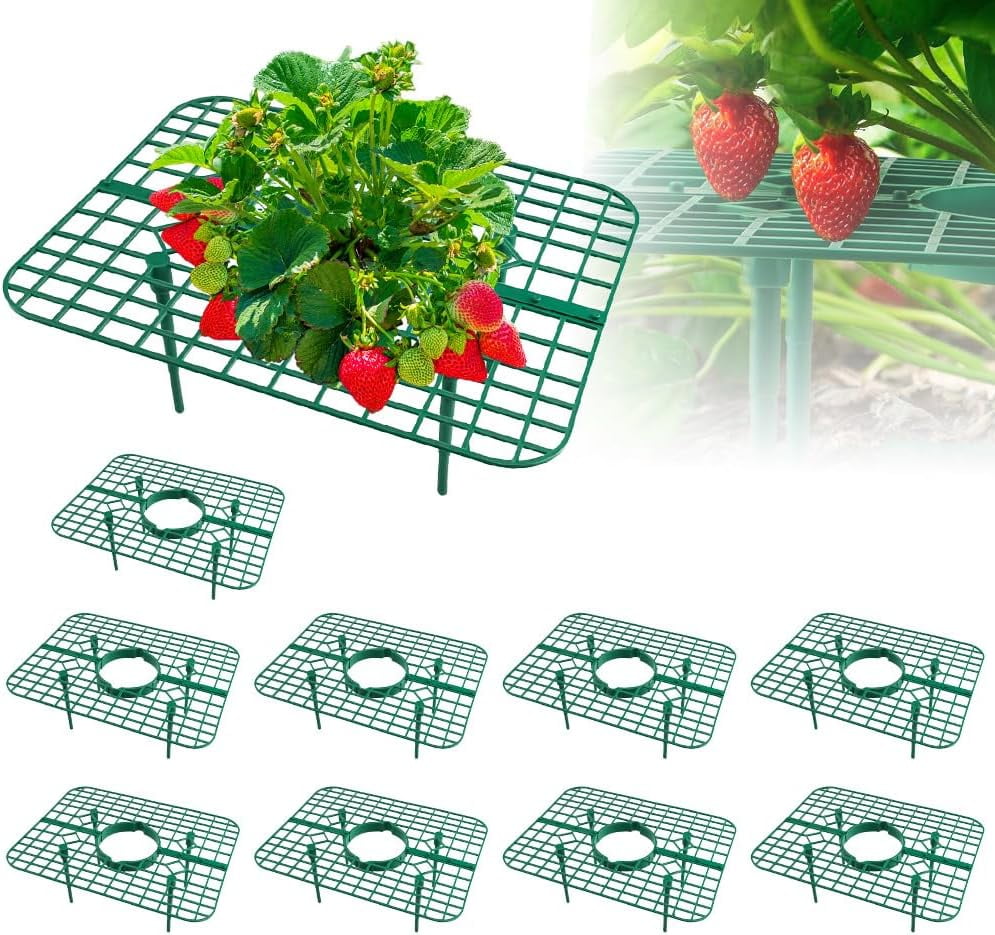 GZhLonKiMa Strawberry Plant Support Strawberry Rack Plant Stand ...