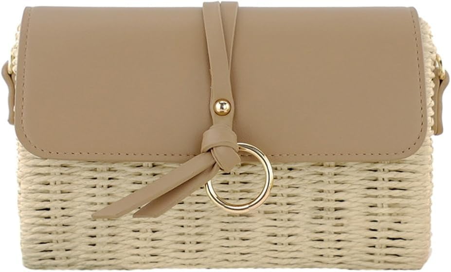 GZhLonKiMa Women Straw Bag Beach Straw Purses Summer Clutch Chain ...