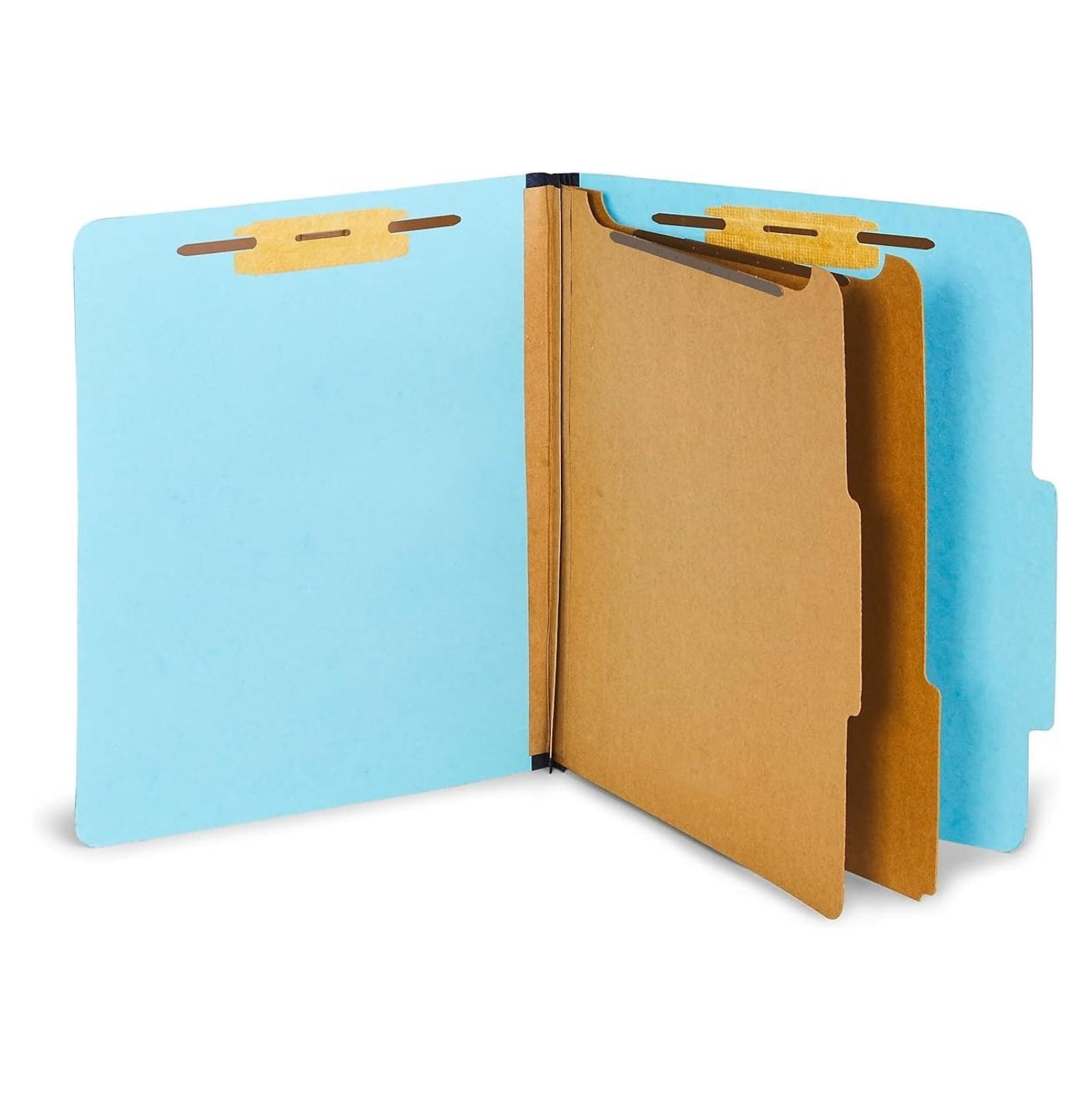 GaGaLee Recycled Classification Folders, Letter, 2 Partitions, Blue, 20 ...