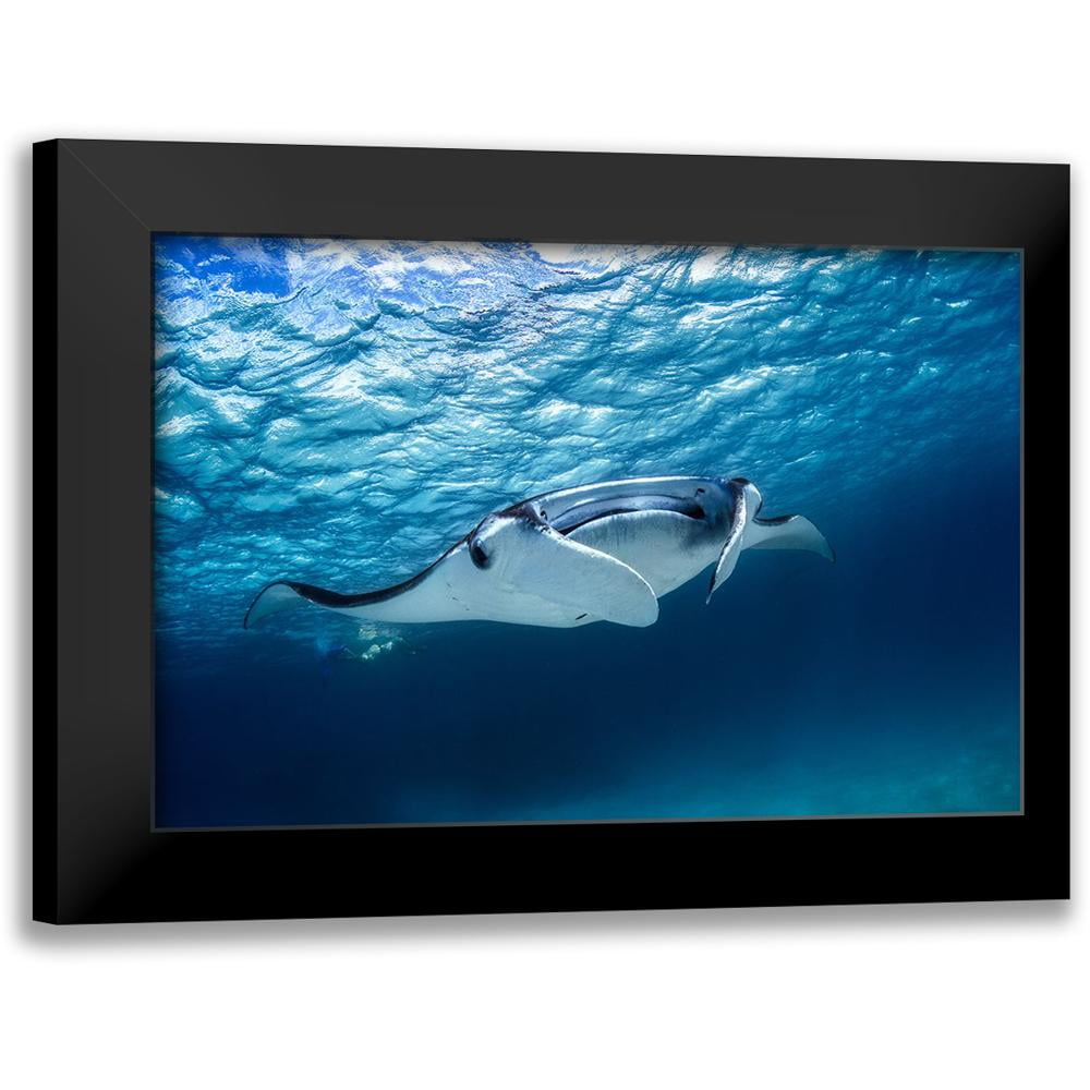 Gabriel, Barathieu 14x11 Black Modern Framed Museum Art Print Titled ...