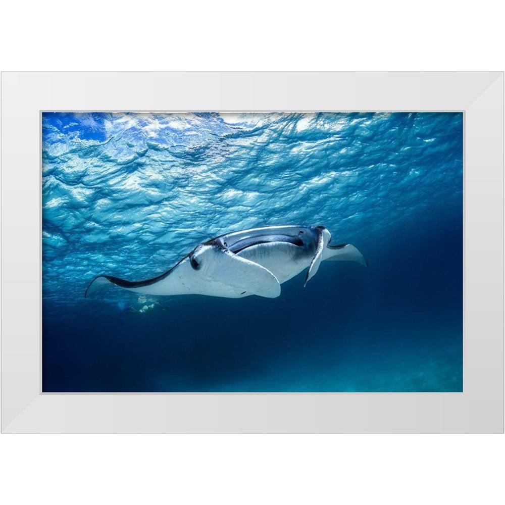 Gabriel, Barathieu 14x11 White Modern Wood Framed Museum Art Print ...