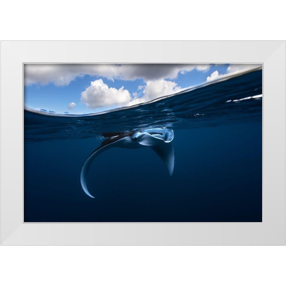 Gabriel, Barathieu 18x13 White Modern Wood Framed Museum Art Print ...