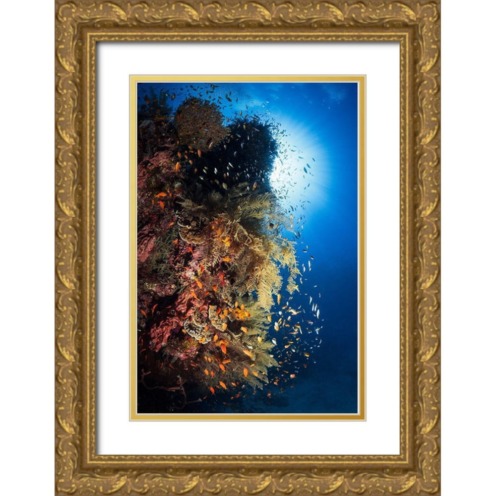 Gabriel, Barathieu 23x32 Gold Ornate Wood Framed with Double Matting Museum Art Print Titled ...
