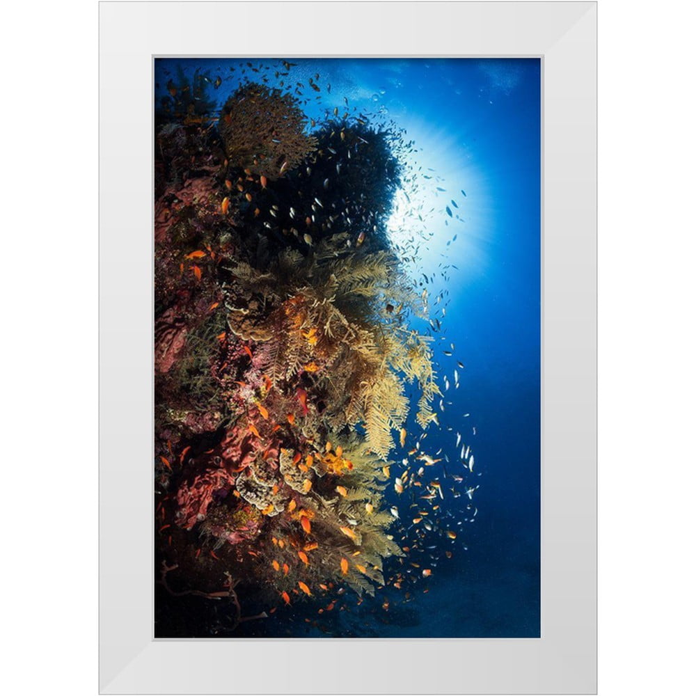 Gabriel, Barathieu 23x32 White Modern Wood Framed Museum Art Print Titled - Life Explosion ...