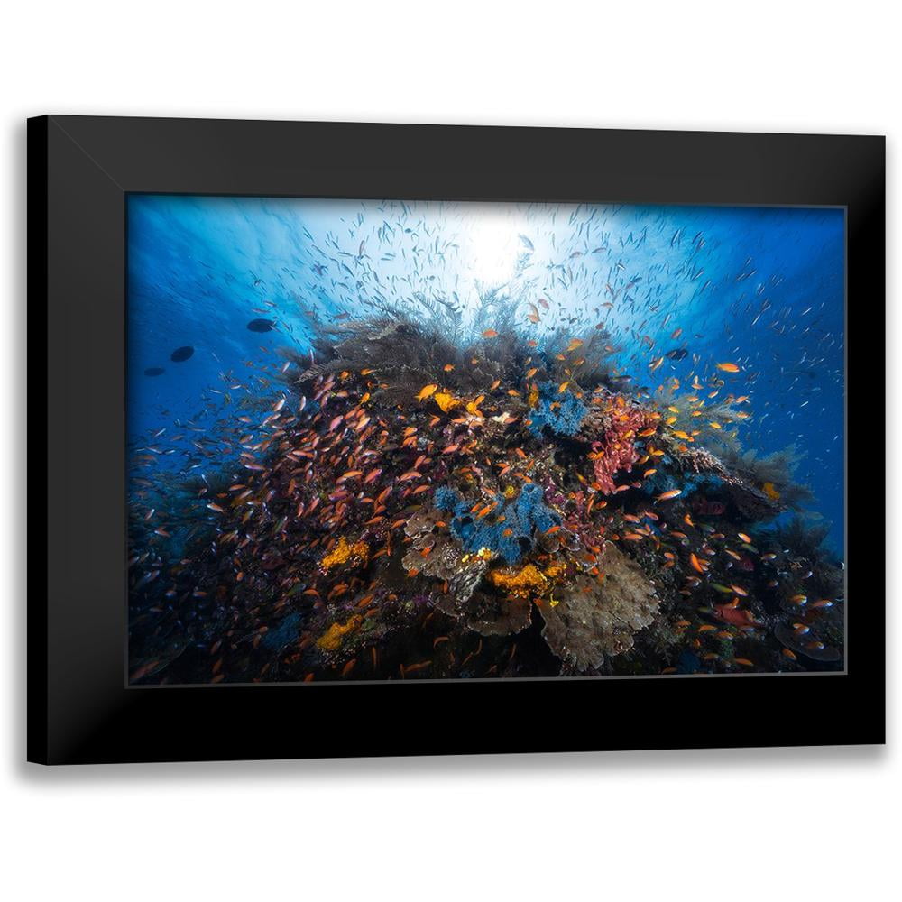 Gabriel, Barathieu 24x17 Black Modern Framed Museum Art Print Titled - Life Explosion - Walmart.com