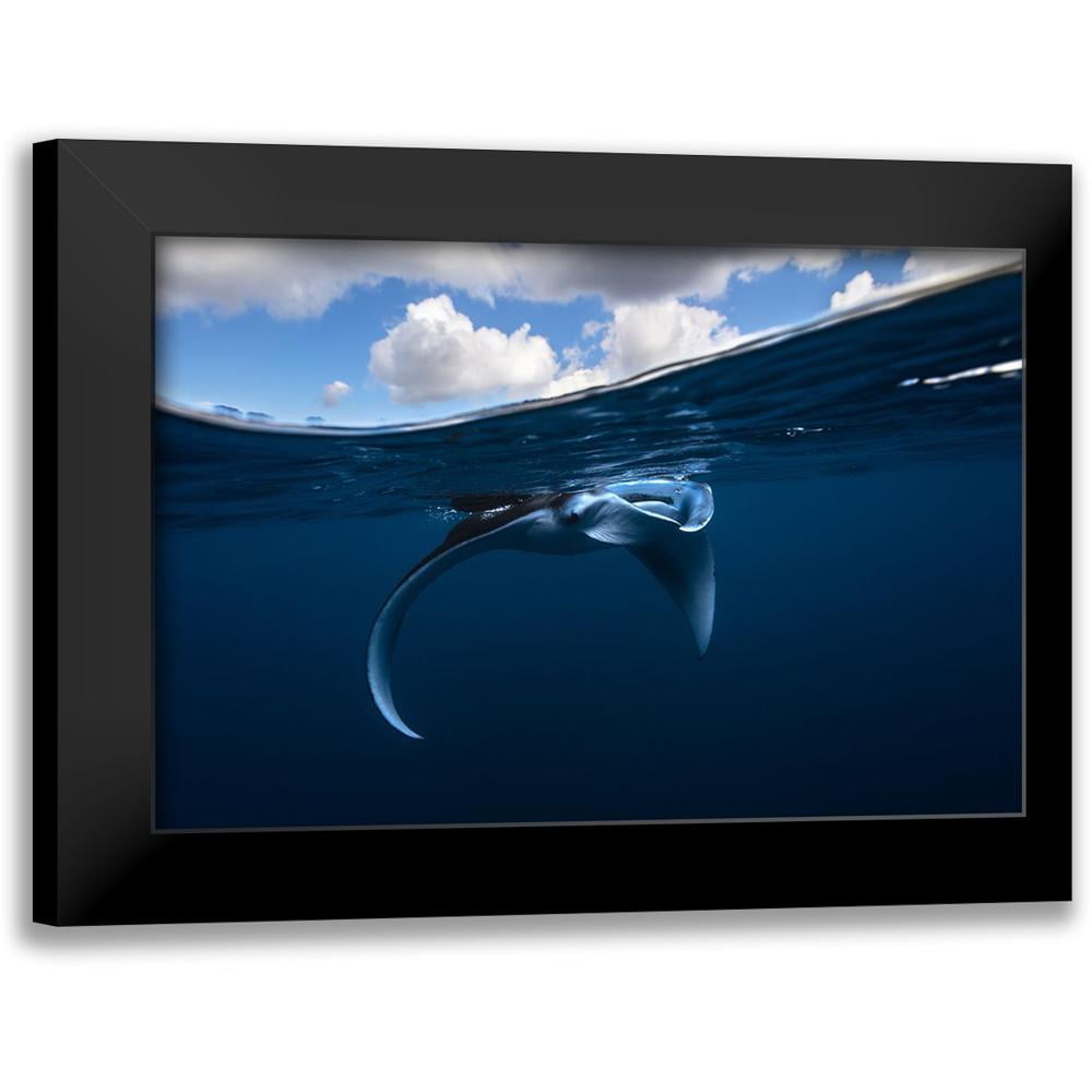Gabriel, Barathieu 24x17 Black Modern Framed Museum Art Print Titled ...