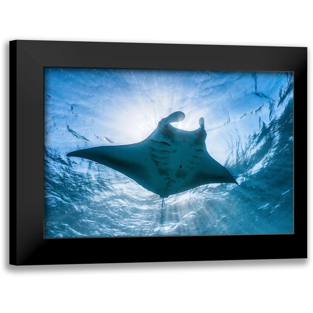 Gabriel, Barathieu 24x17 Black Modern Framed Museum Art Print Titled ...
