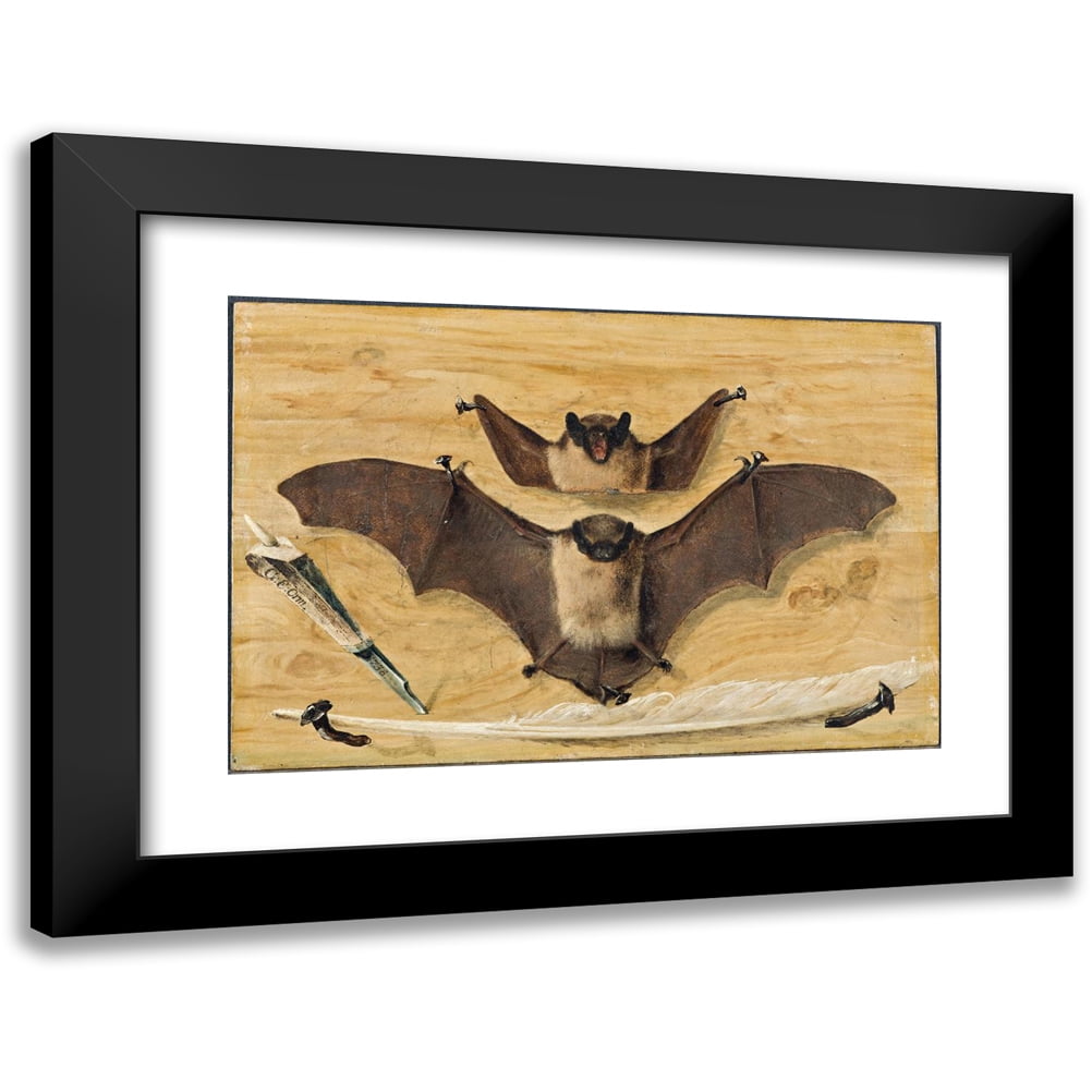 Gabriel Orm 18x13 Black Modern Framed Museum Art Print Titled - Trompe ...