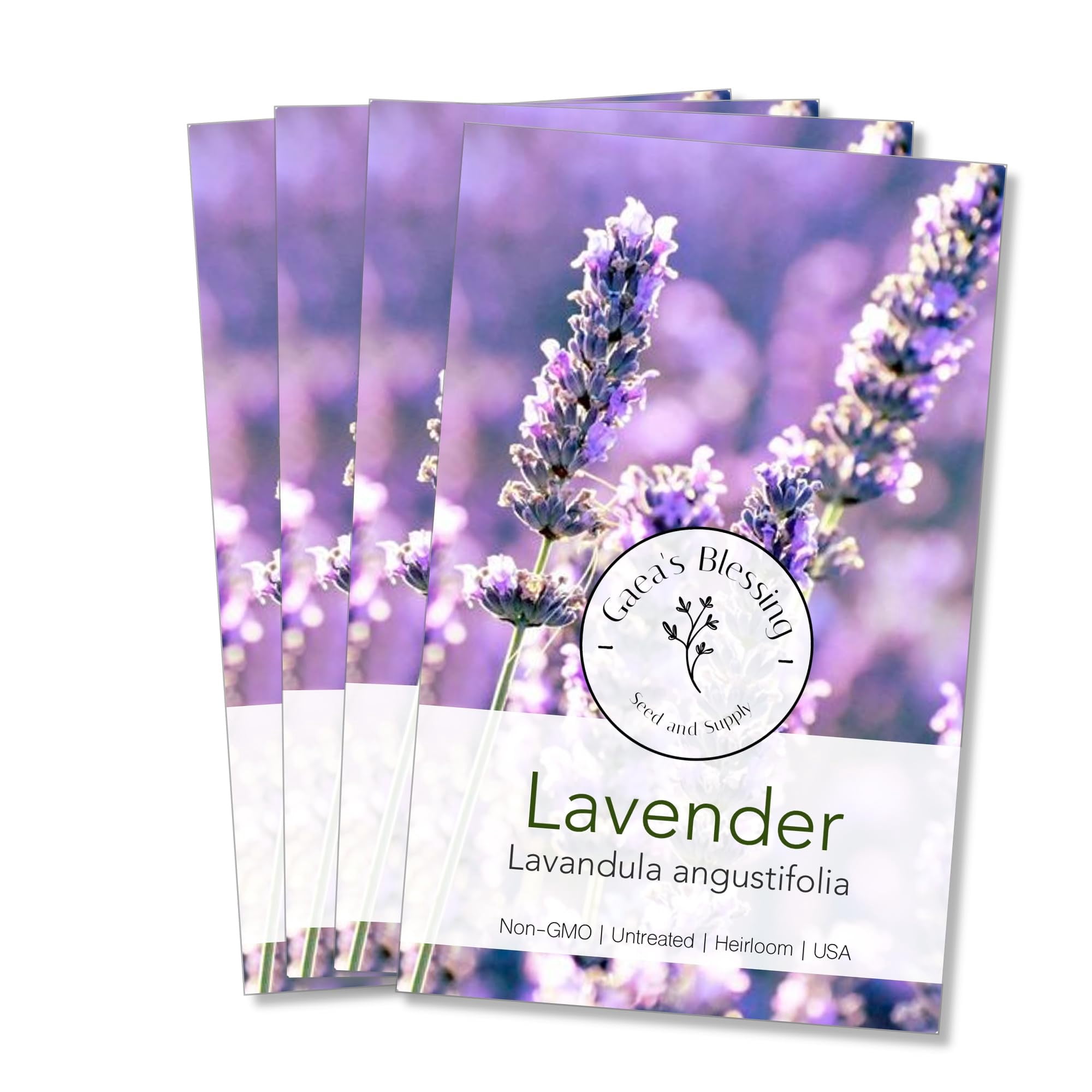 Gaea's Blessing Seeds - English Lavender ITL1 Seeds - Heirloom Non-GMO ...