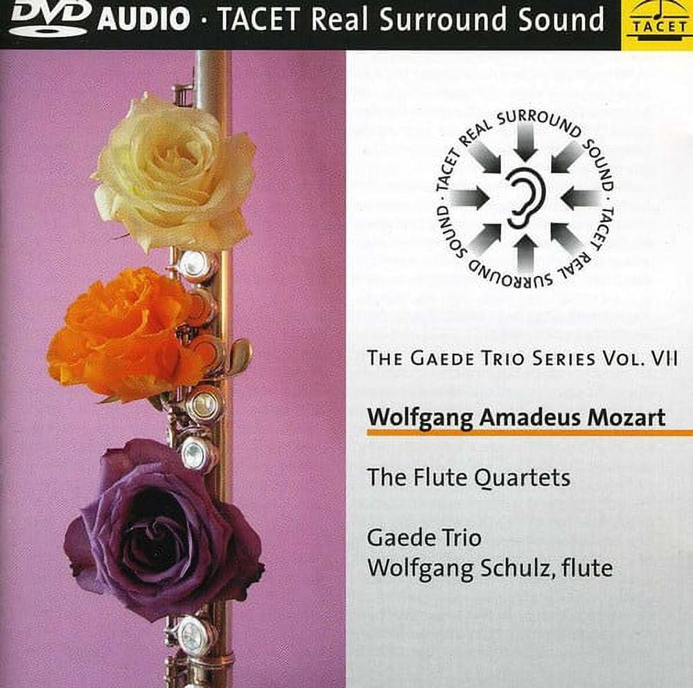 Gaede Trio Berlin - Gaede Trio Series 7 - Music & Performance - DVD ...