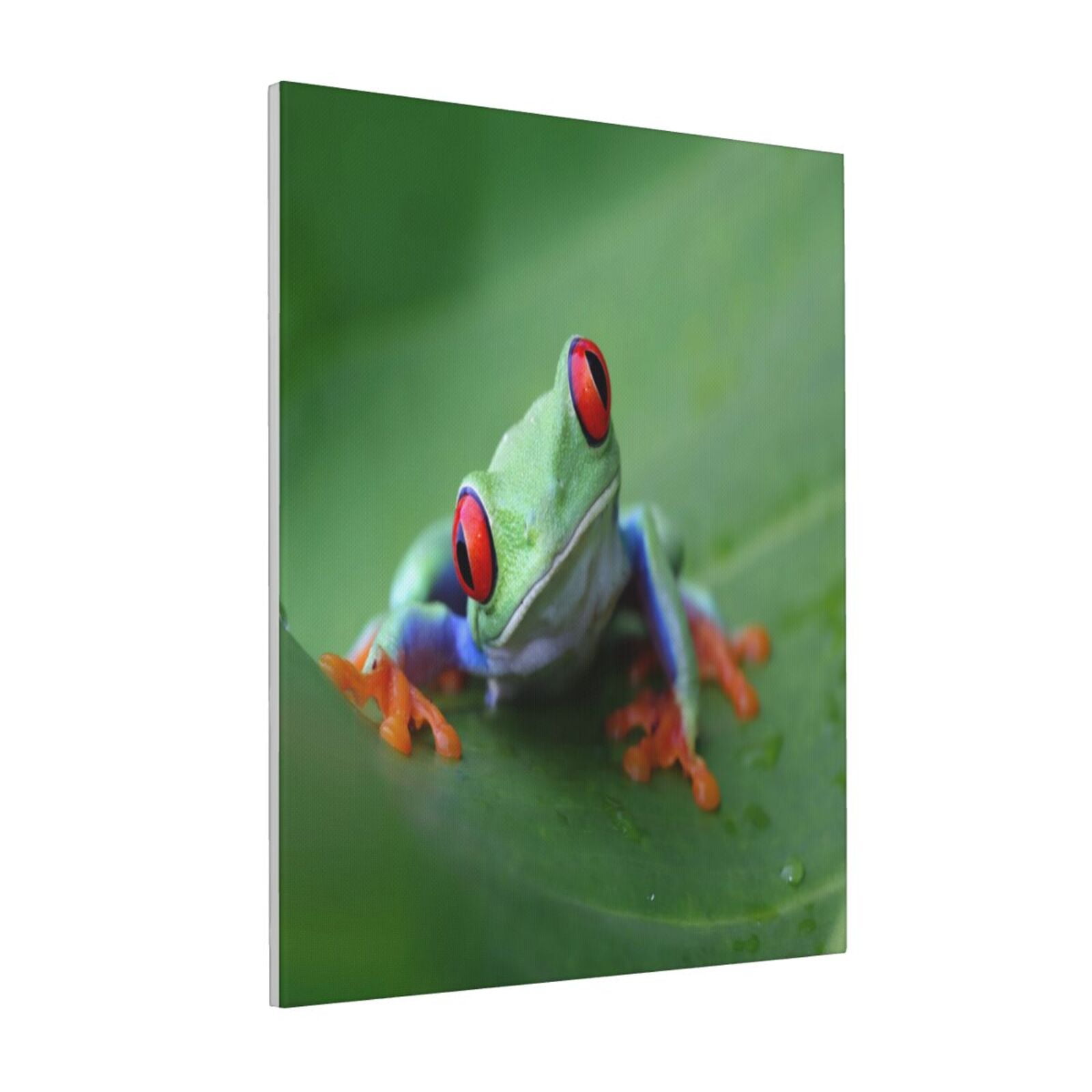 Gaeub Red-Eyed Tree Frog-1 Print Modern Canvas Wall Art Prints,Artwork ...