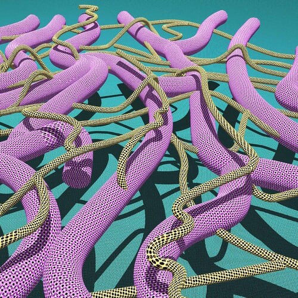 Gaf y la Estrella de la Muerte - Pyramids - Music & Performance - Vinyl ...