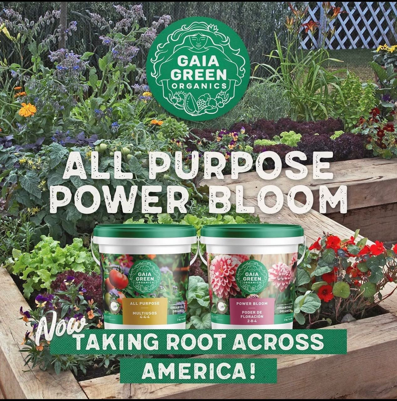 Gaia Green All Purpose & Power Bloom Plant Fertilizer Food for Indoor ...
