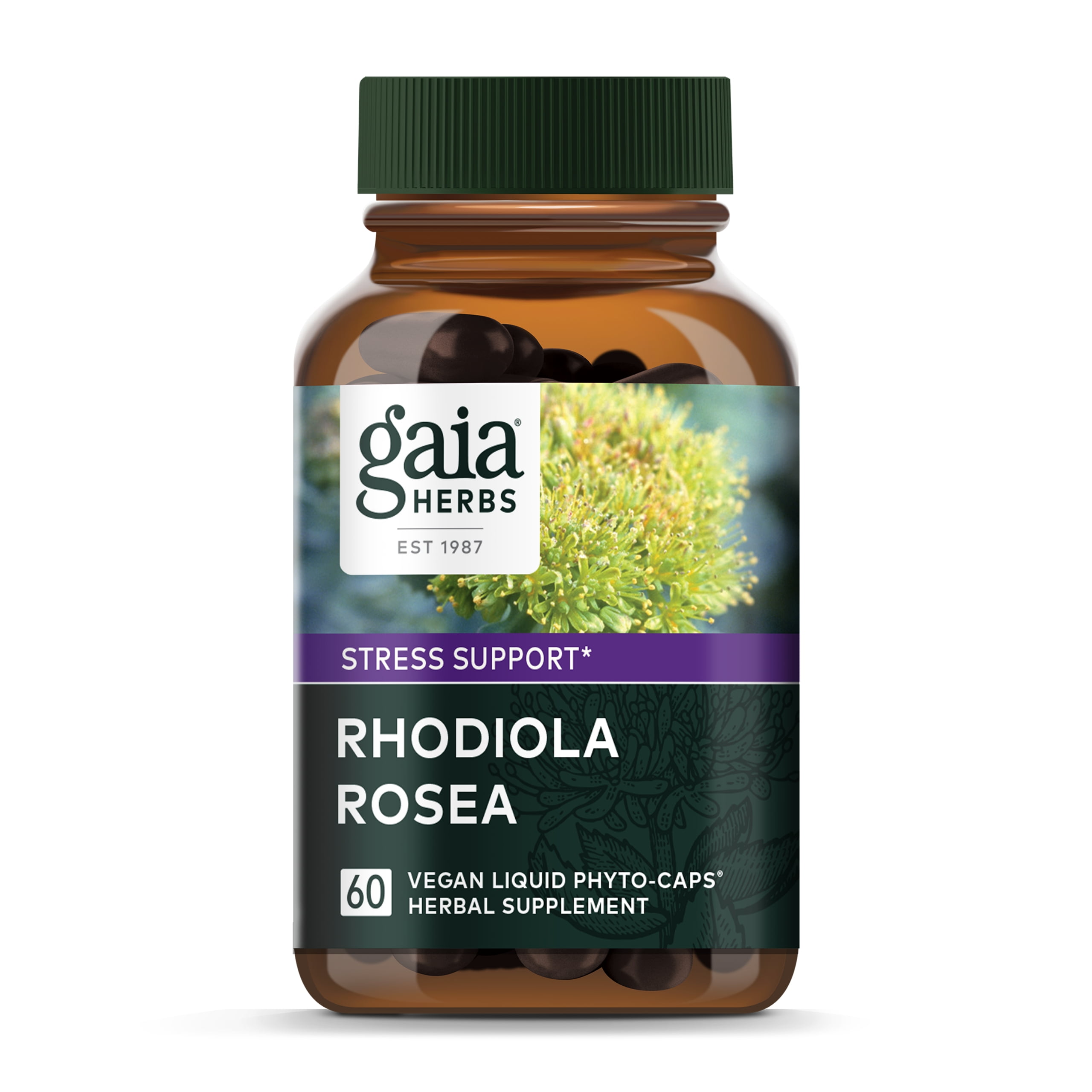 Gaia Herbs Rhodiola Rosea Root Extract Supplement - 60 Vegan Liquid ...