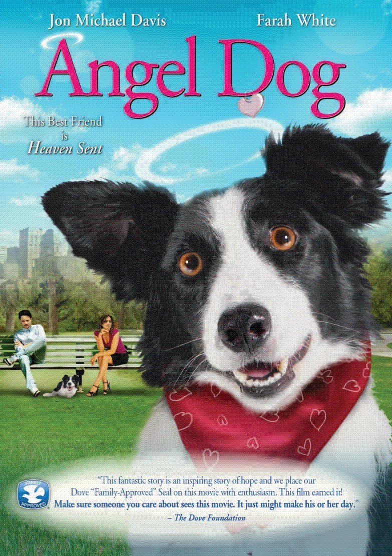 Gaiam Americas Angel Dog [dvd] - Walmart.com