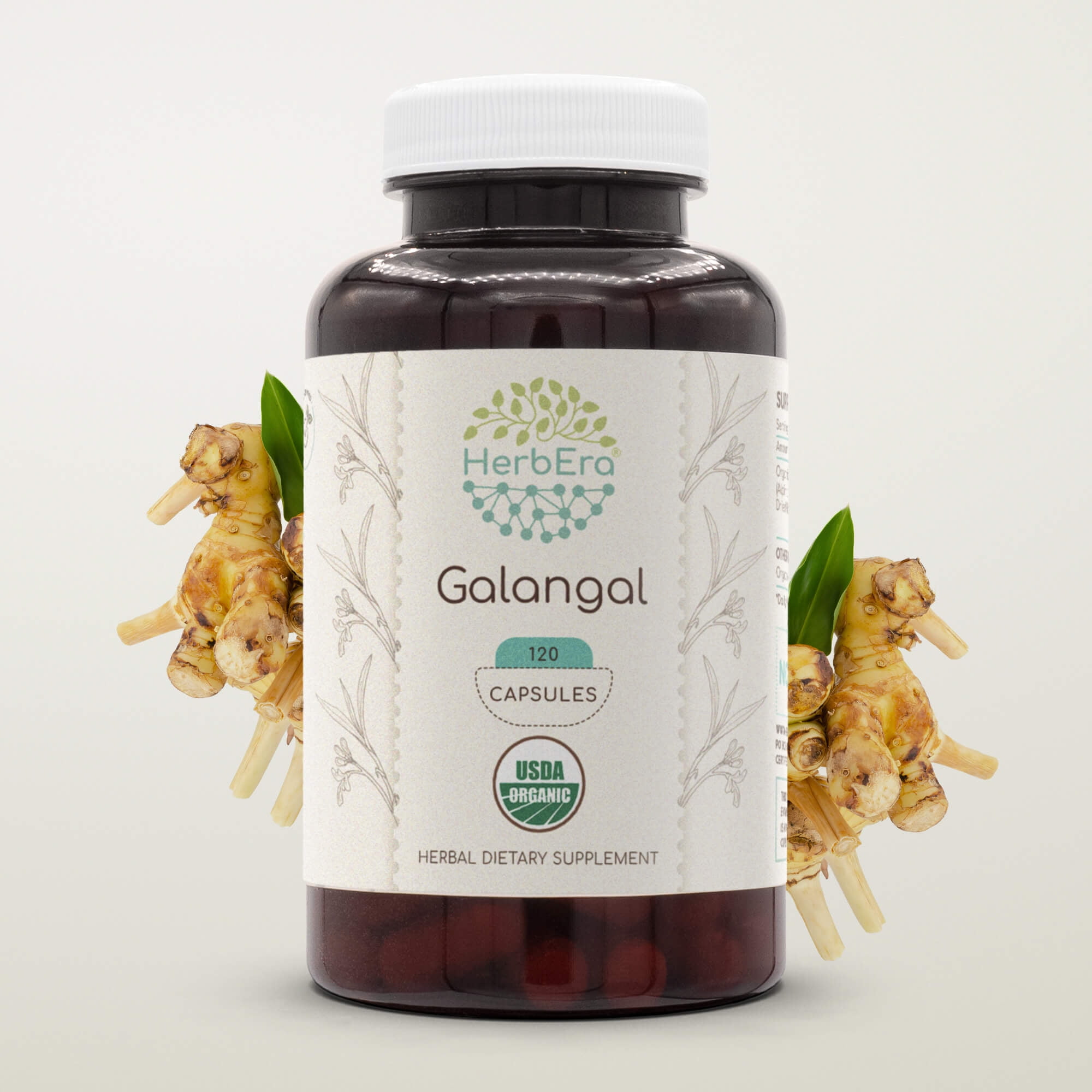HerbEra Galangal Capsules, Organic Herbal Dietary Supplement for ...