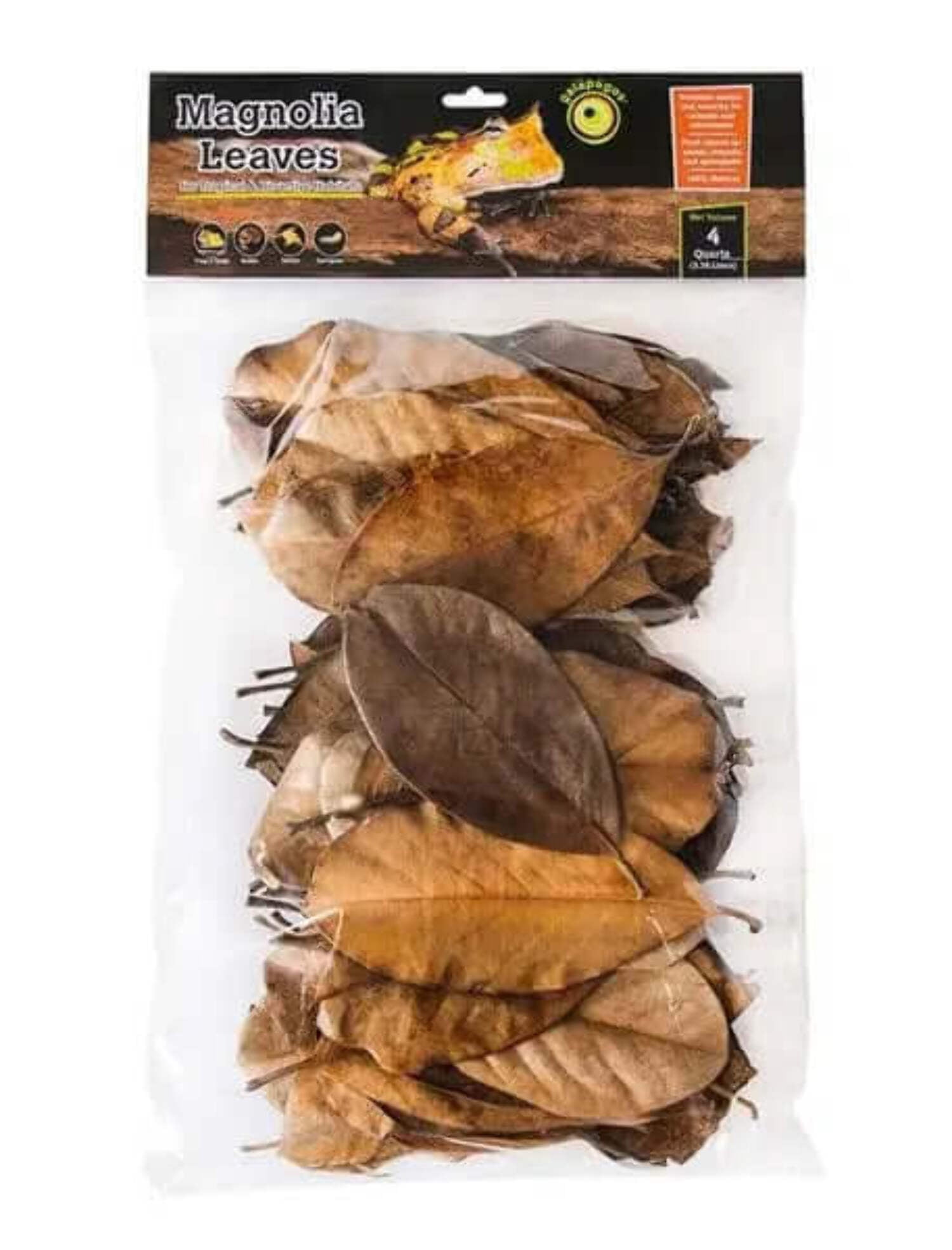 Galapagos Brown Magnolia Leaf Litter for Tropical and Bioactive ...