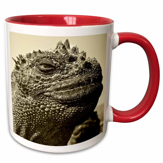 3drose, Galapagos Islands Ecuador, 15oz Two-tone Red Mug - Walmart.com