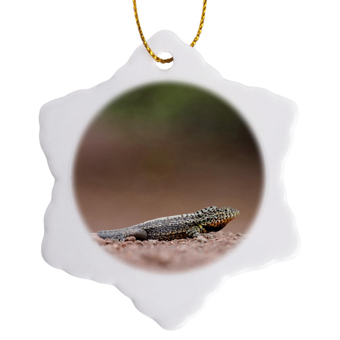 3drose, Galapagos Islands, Santa Cruz Island, Lava Lizard - Sa07 ...