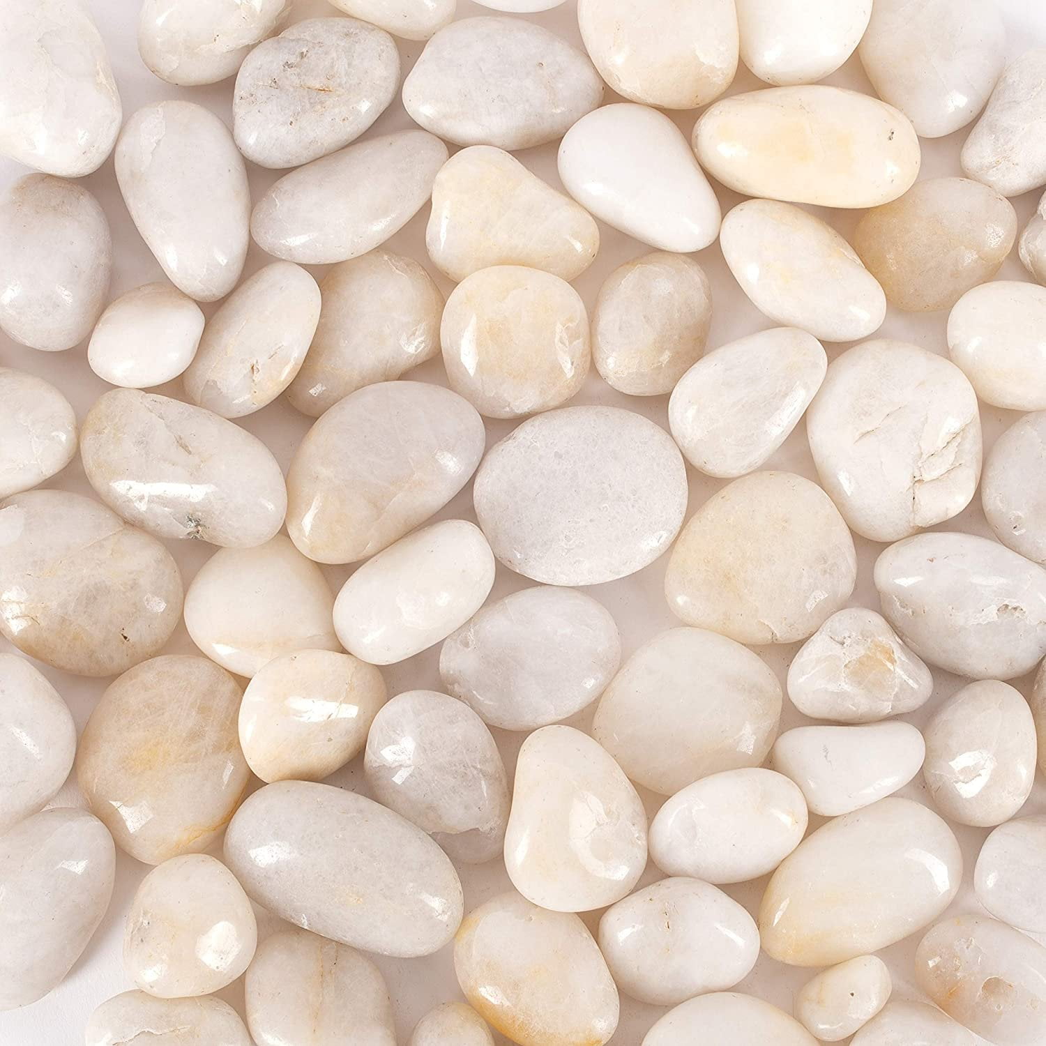 Galashield 5 lb White Rocks Pebbles for Plants Natural Decorative ...