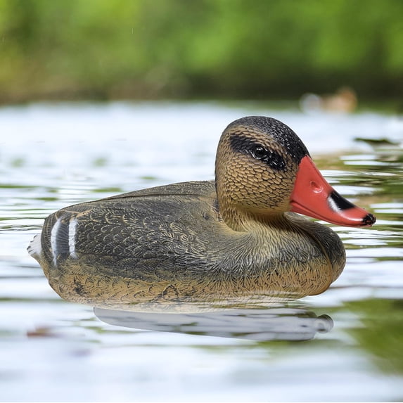 Galashield Duck Decoys for Hunting | Floating Decoy for Pool, Pond ...