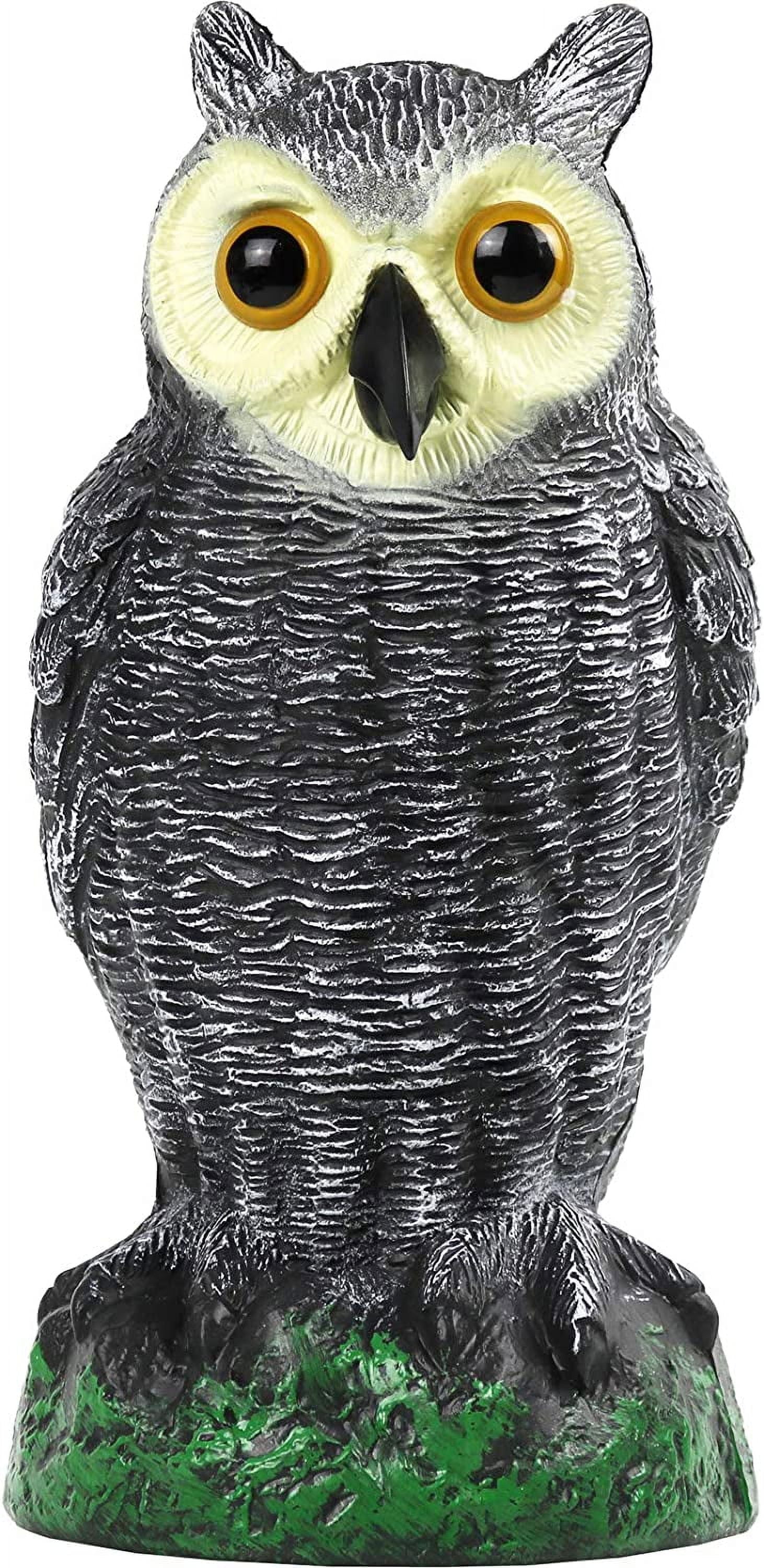 Galashield Plastic Owl Decoys: Yard Deterrent to Scare and Keep Birds ...