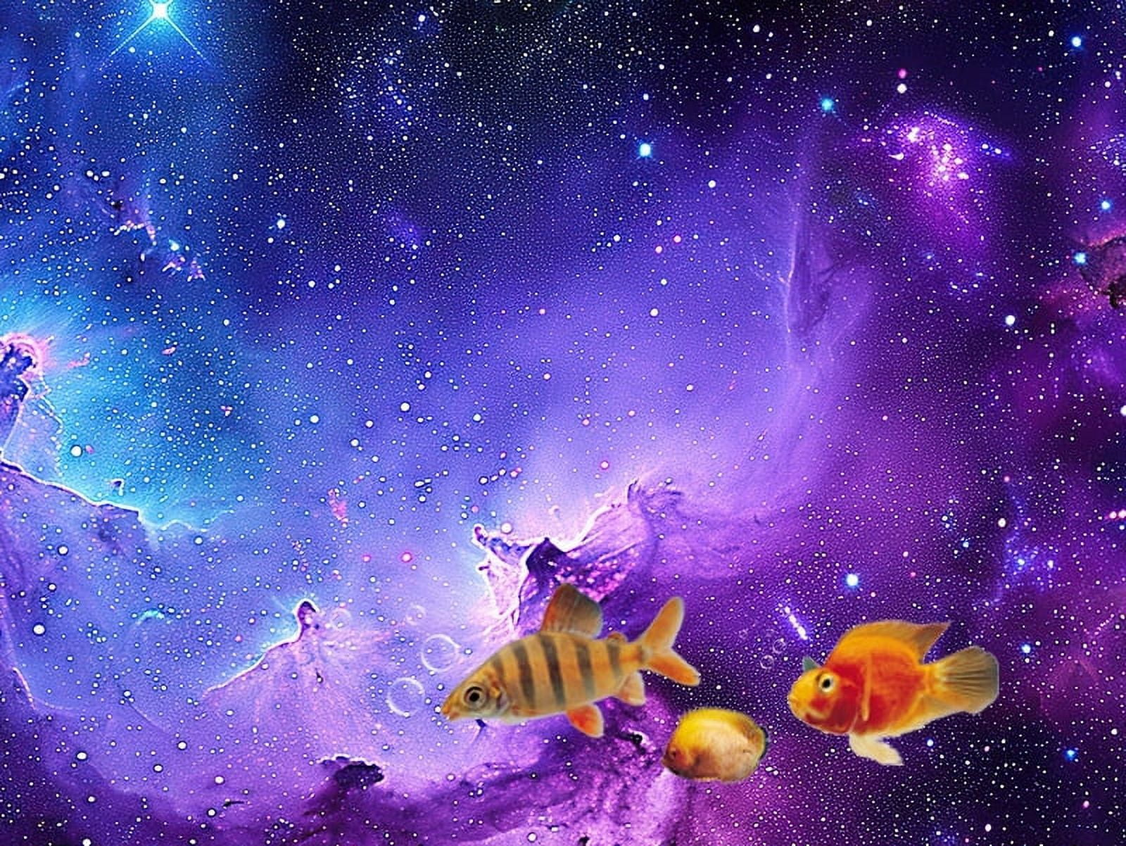 Galaxy Aquarium Background, Purple Starry Sky Universe Space Fish Tank ...