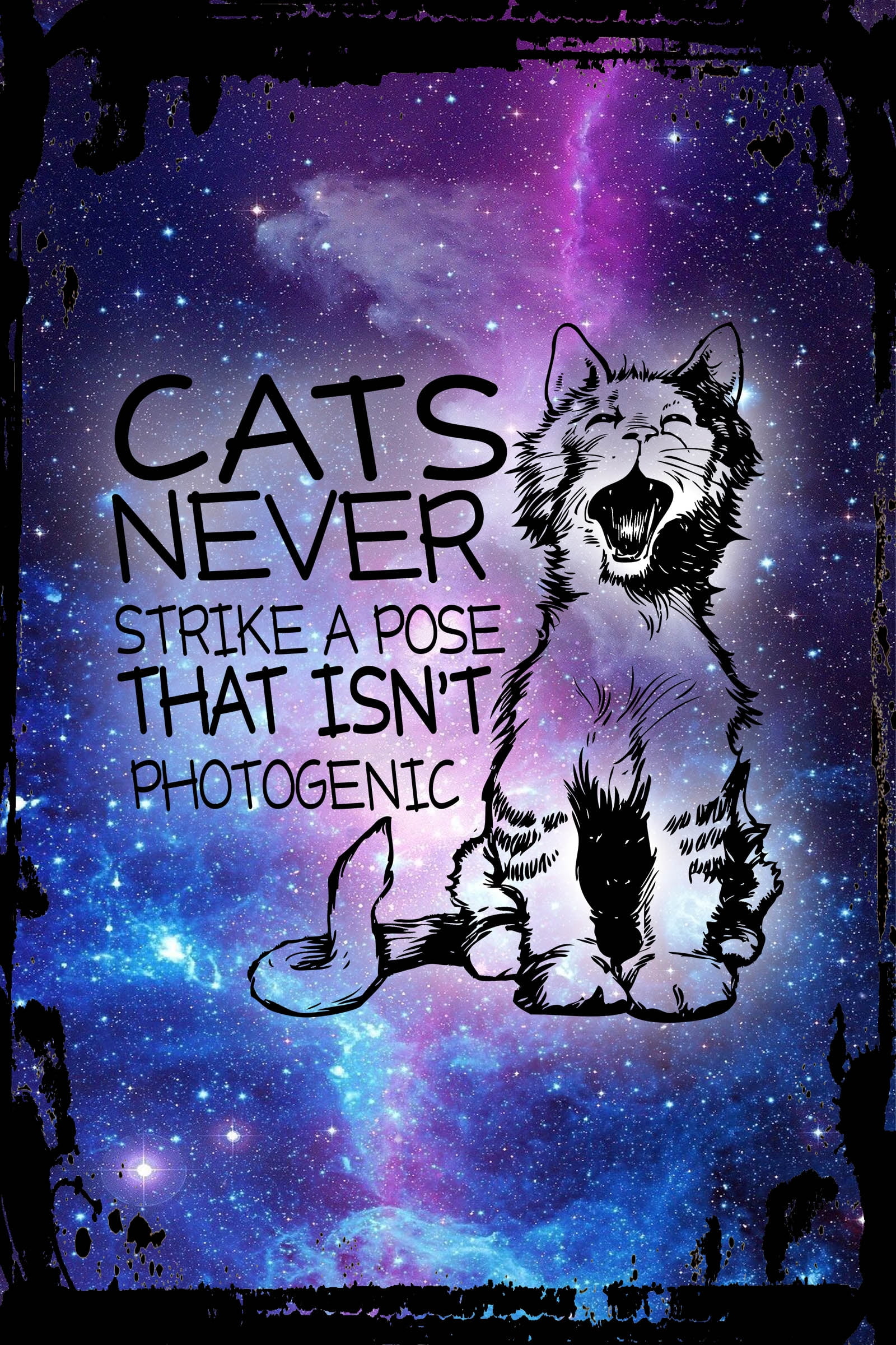 Galaxy Inspirational Wall Art Cats Never strike a pose that isn't ...