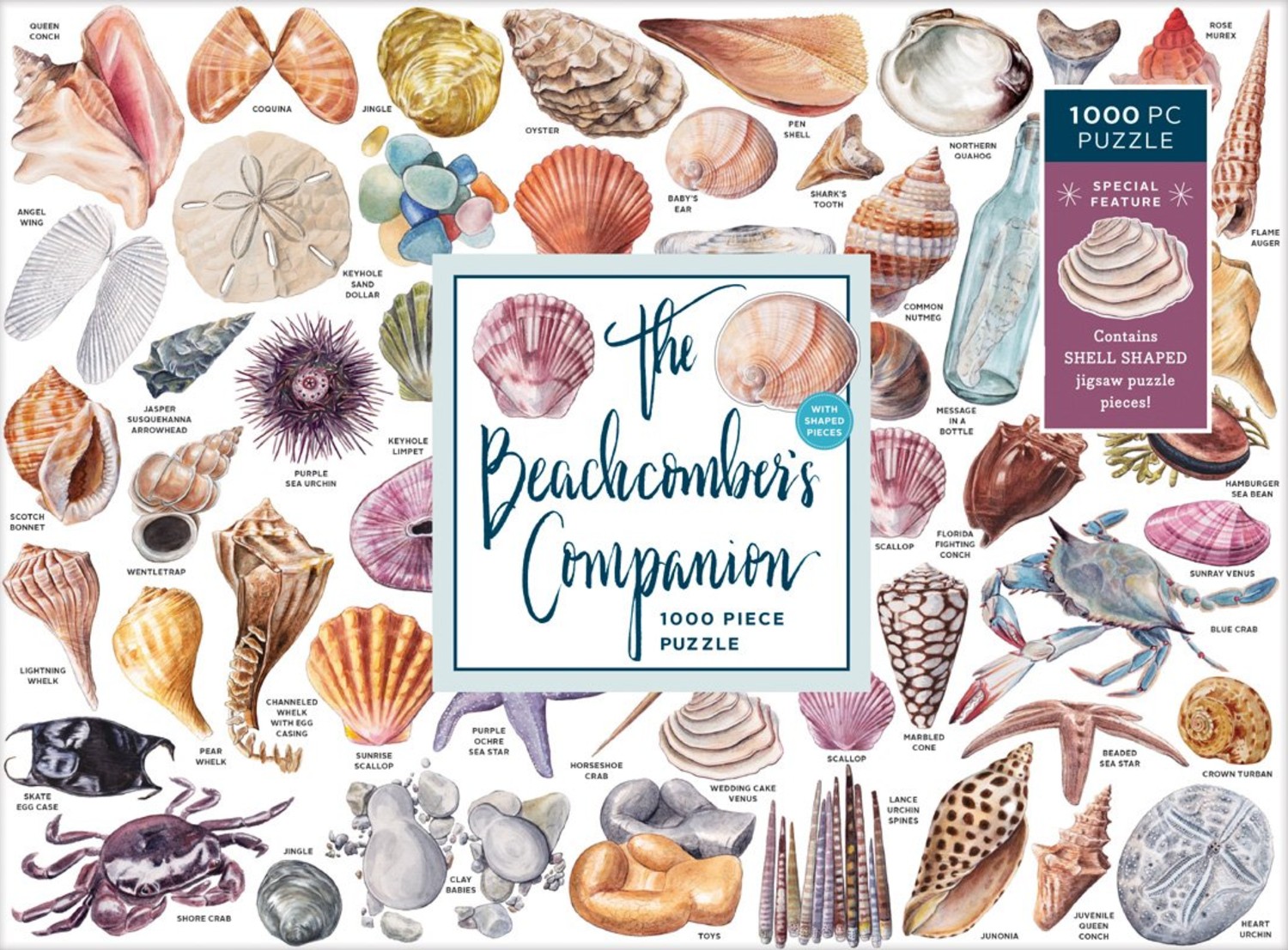 Galison Beachcombers Companion 1000 Piece Jigsaw Puzzle for Adults ...