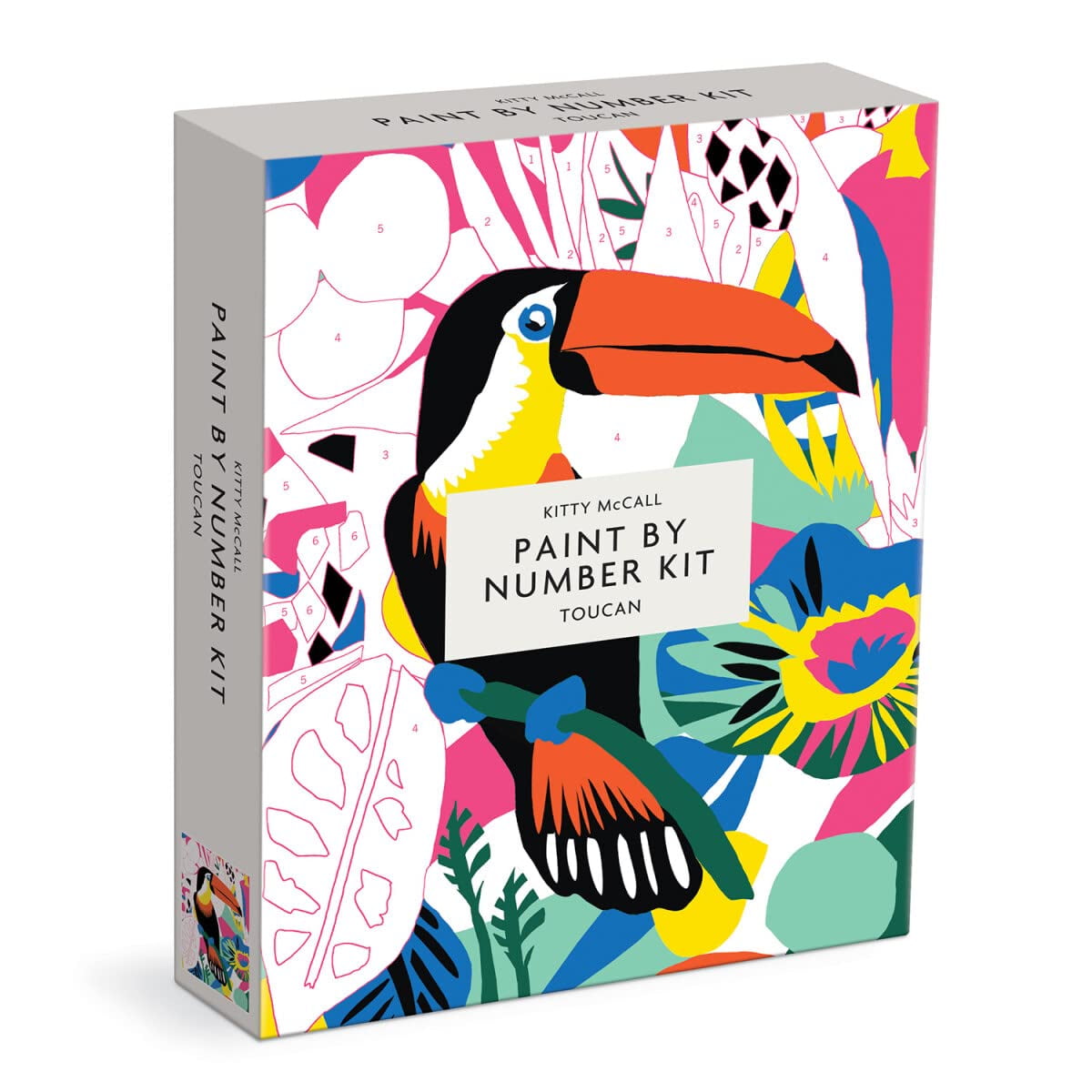 Galison Kitty McCall Toucan Paint by Number Kit from Includes 1 Canvas ...