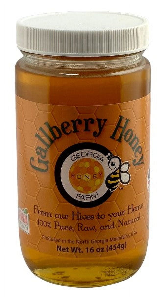 Gallberry Honey 16oz - Walmart.com